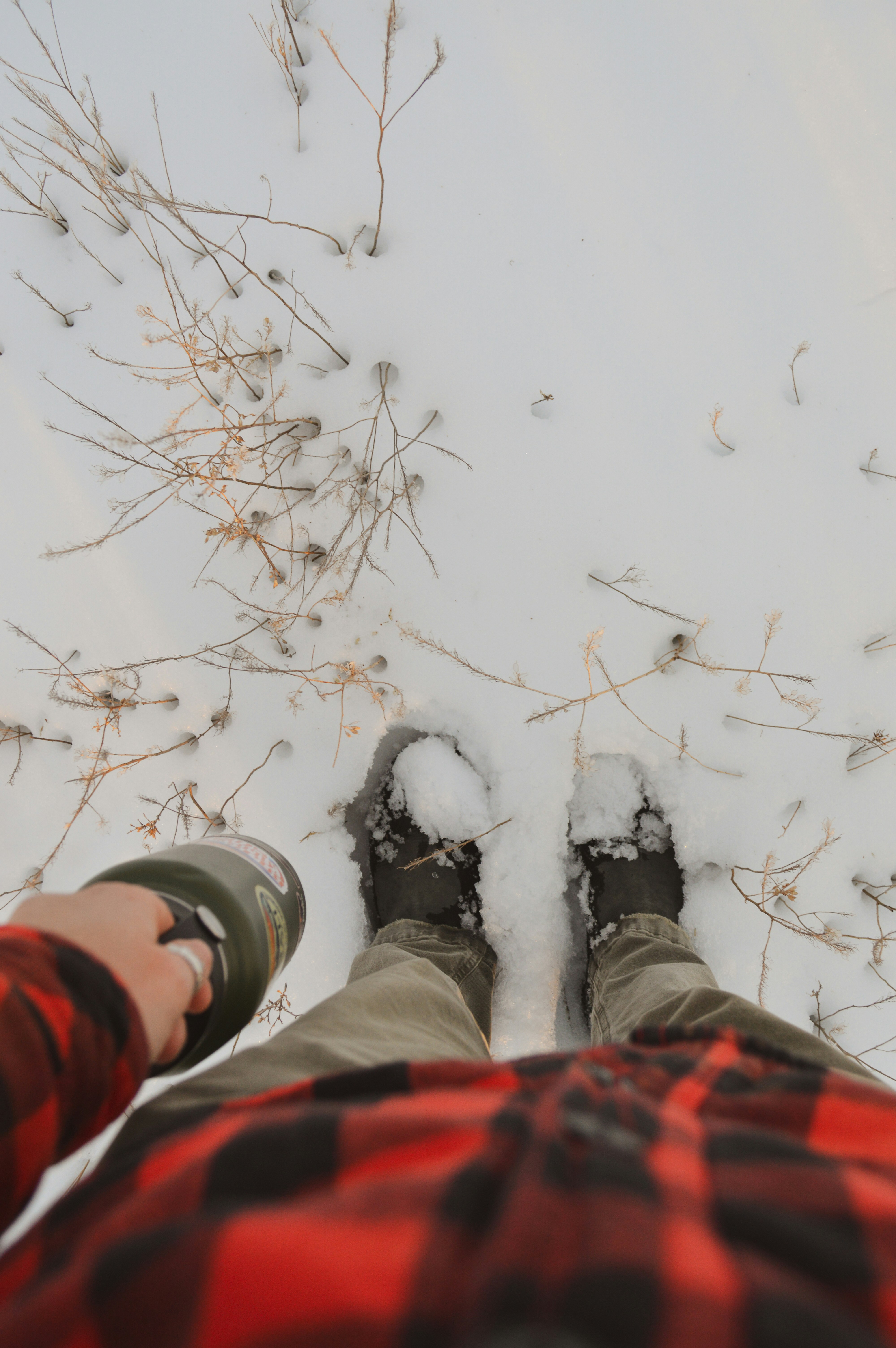 Photo by Ella Deane with Nikon D3200