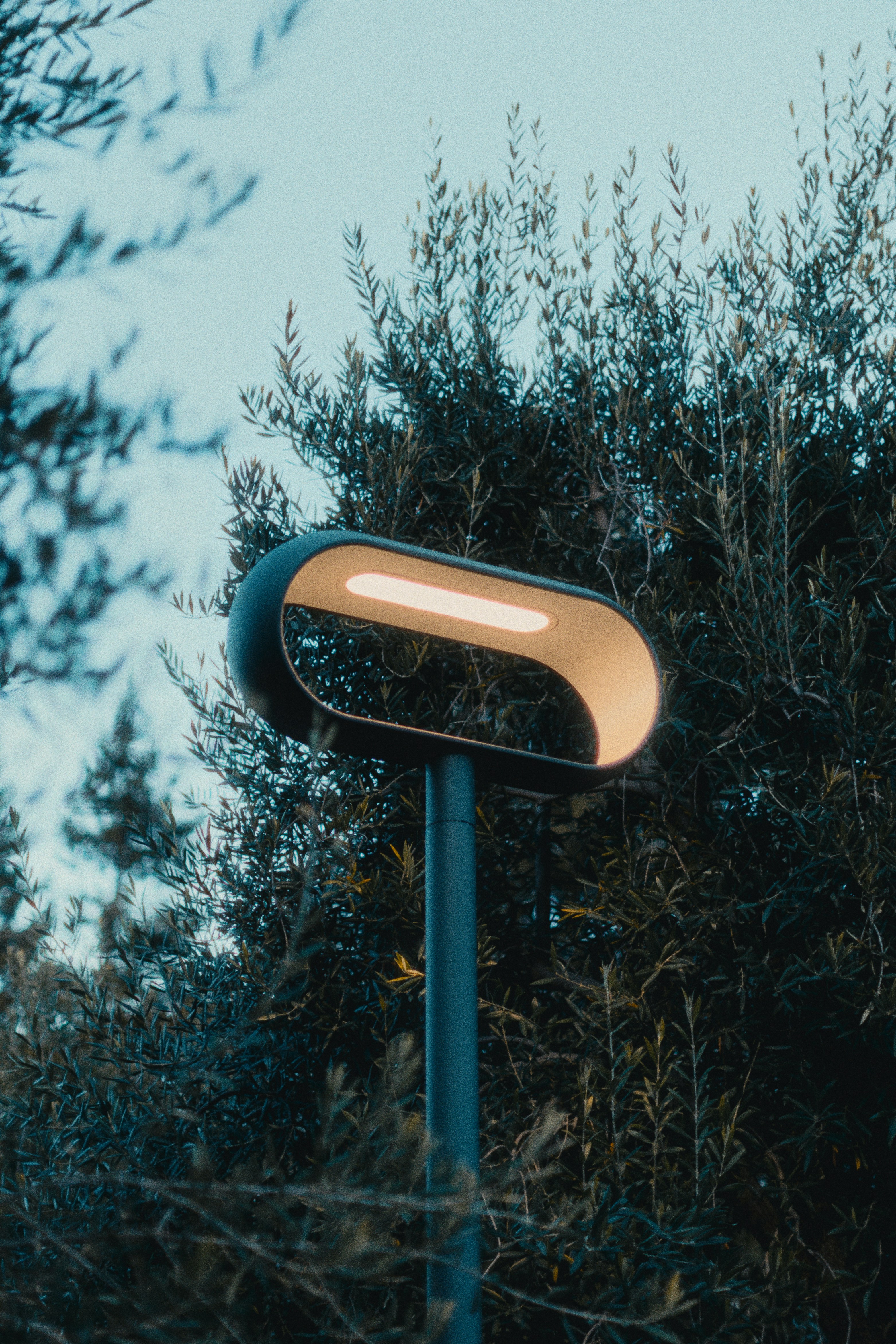 A street sign in front of some bushes photo – Free Brown Image on Unsplash