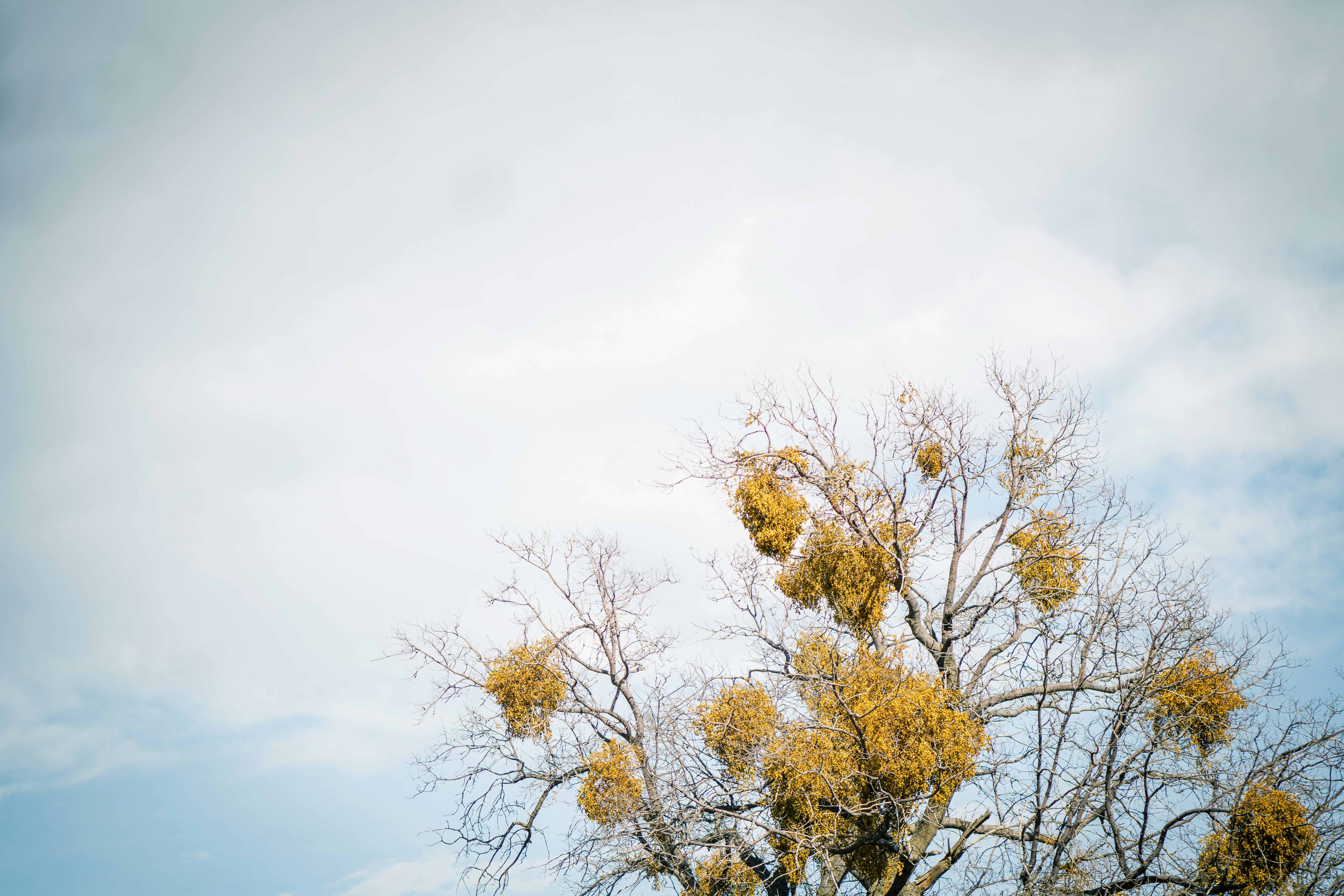Ben Guernsey (@benguernsey) | Unsplash 사진 커뮤니티