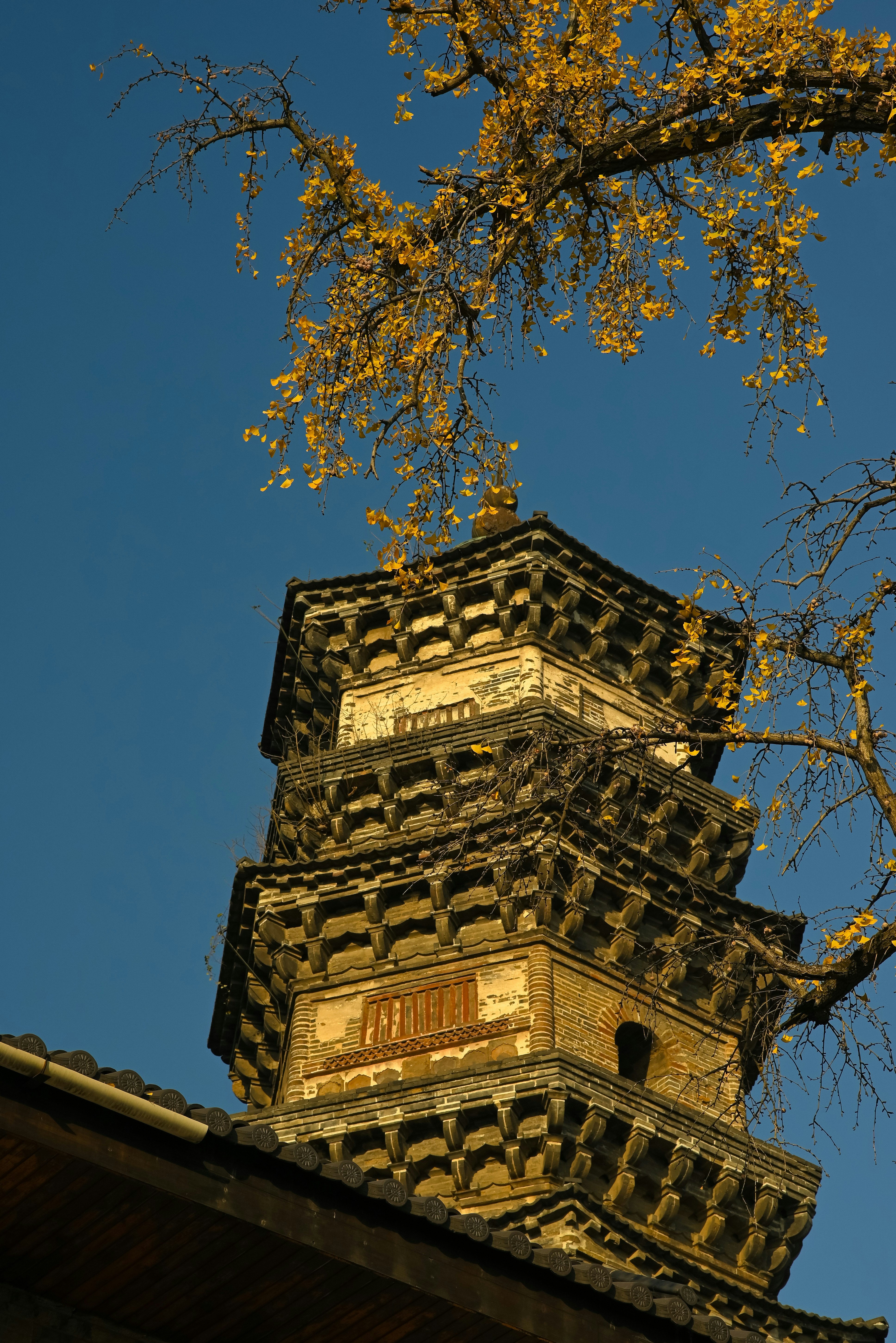 Amber-Topped Pagoda Reaching Toward a Cerulean Sky