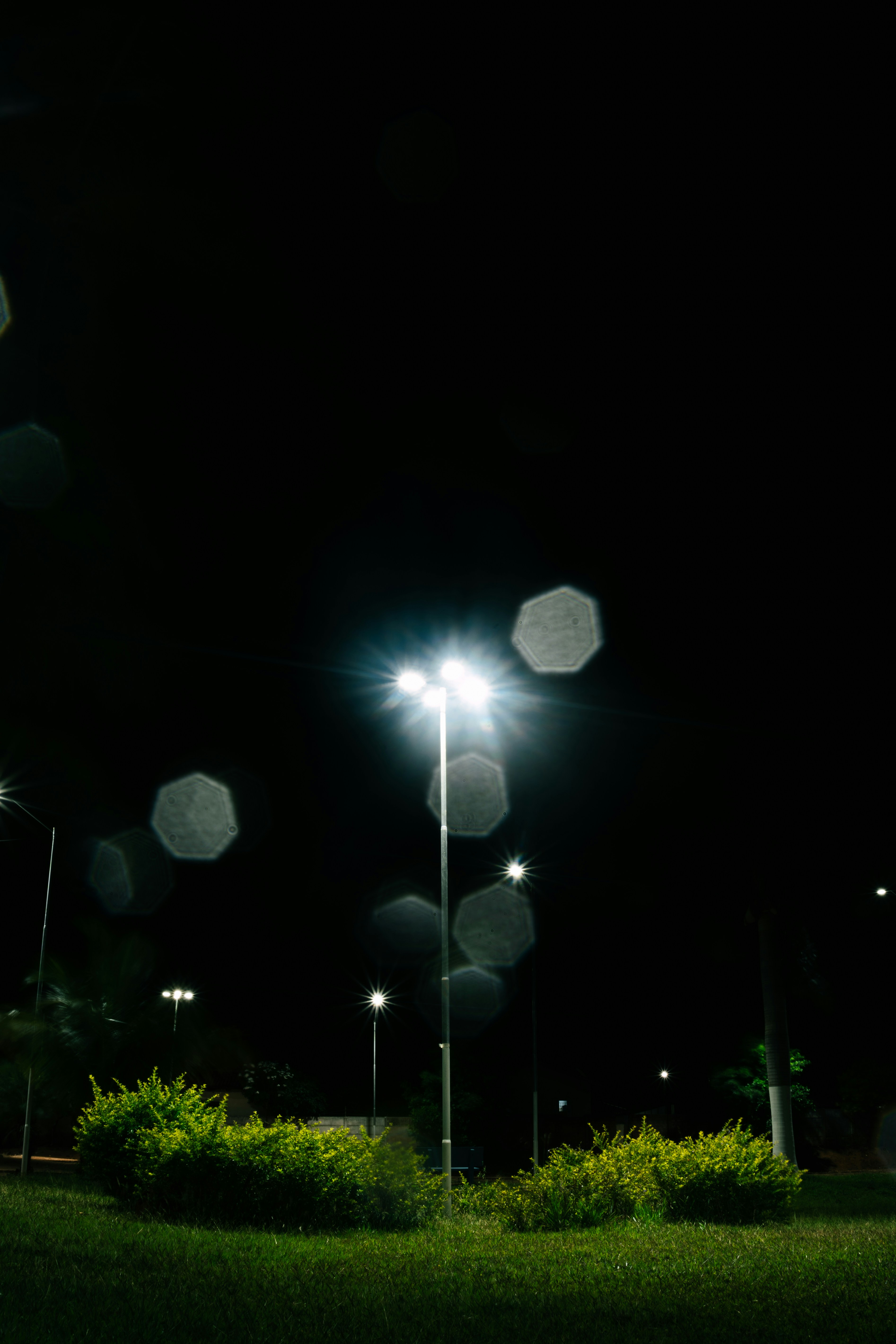 Midnight Beacon: Hexagonal Glow Over a Quiet Park