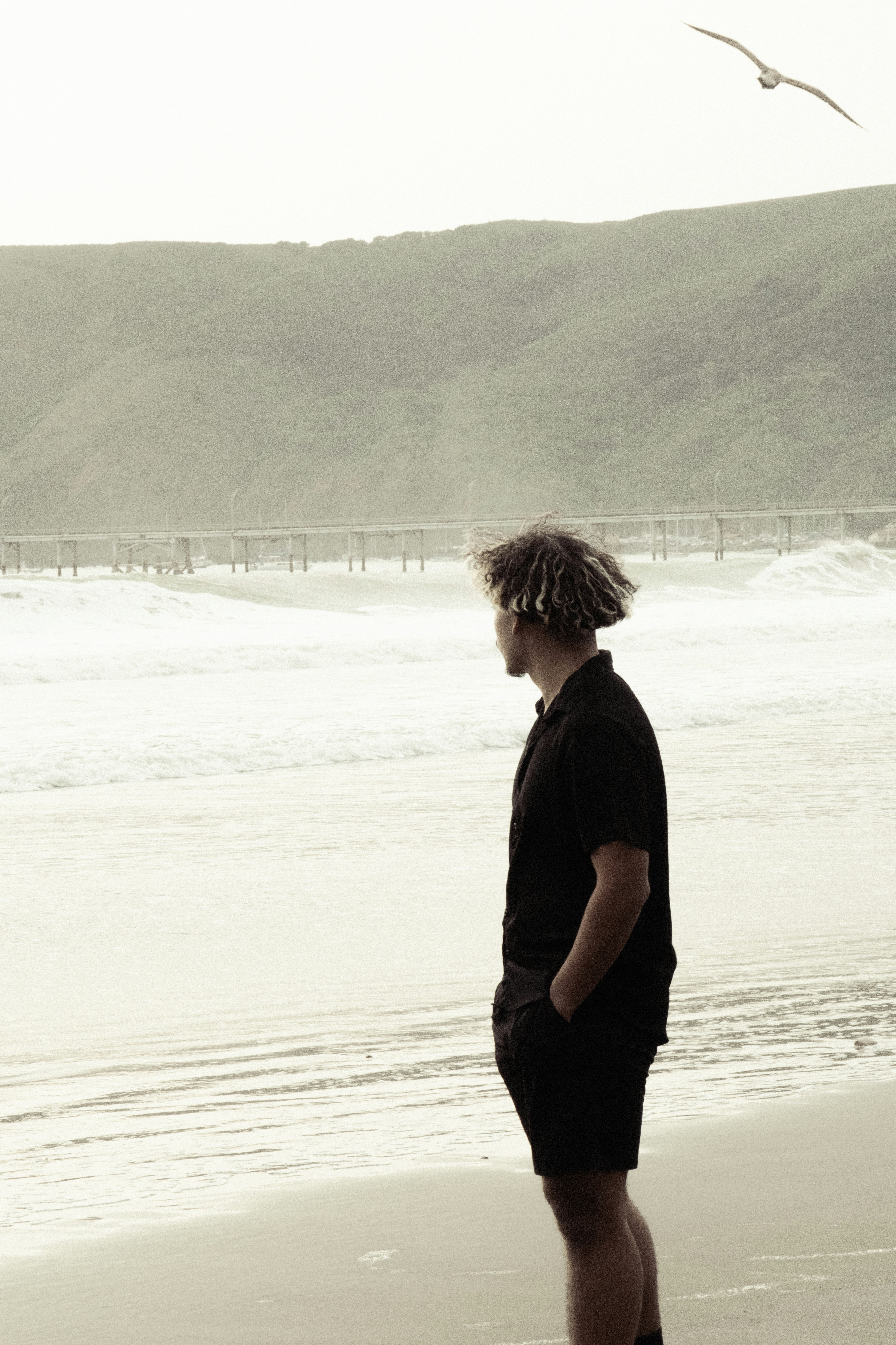 Solitary Shoreline Reverie: A Figure Gazes Toward the Sea as a Gull Circles Above