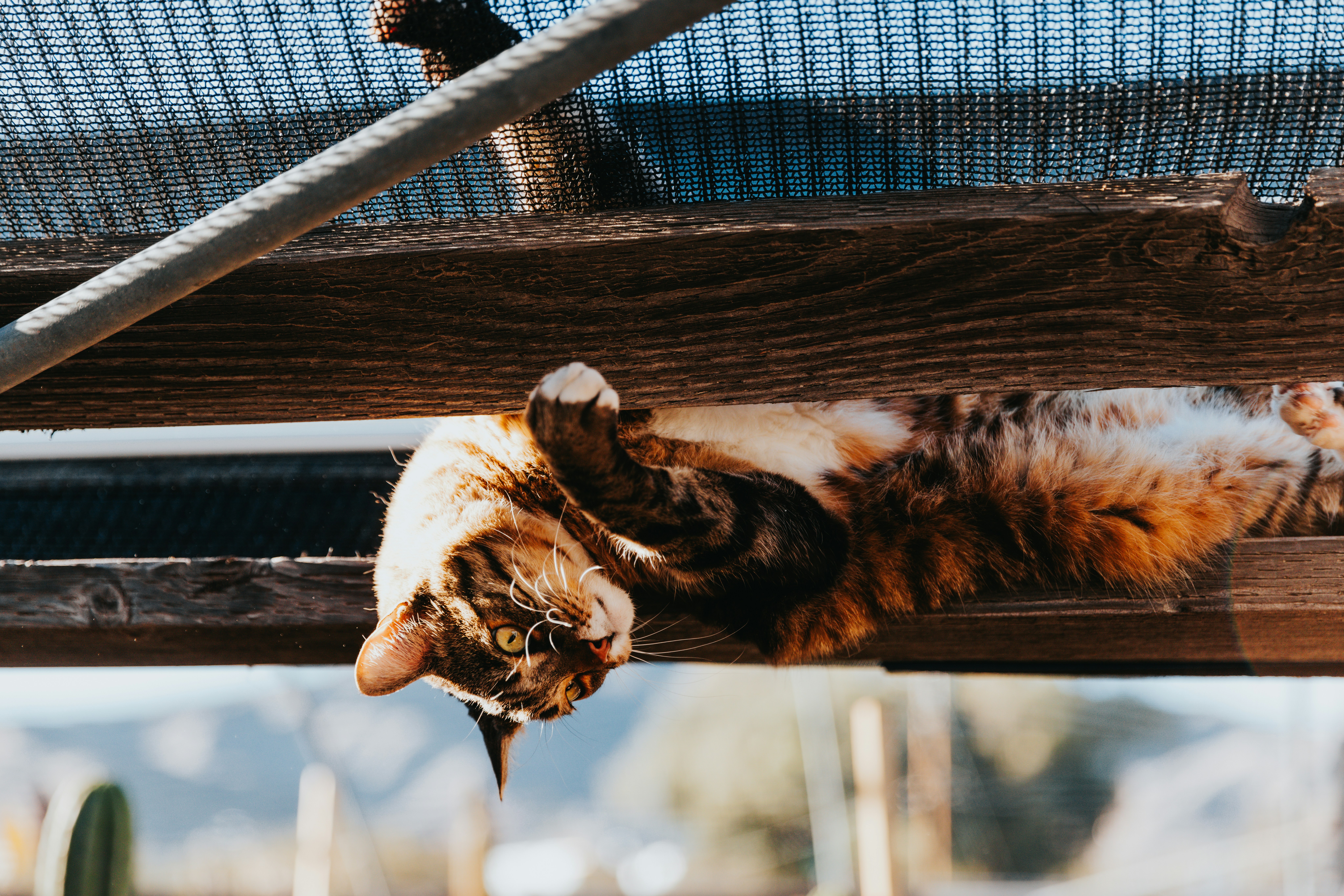 Macy Taylor (@macytaylorcreative) | Unsplash 사진 커뮤니티