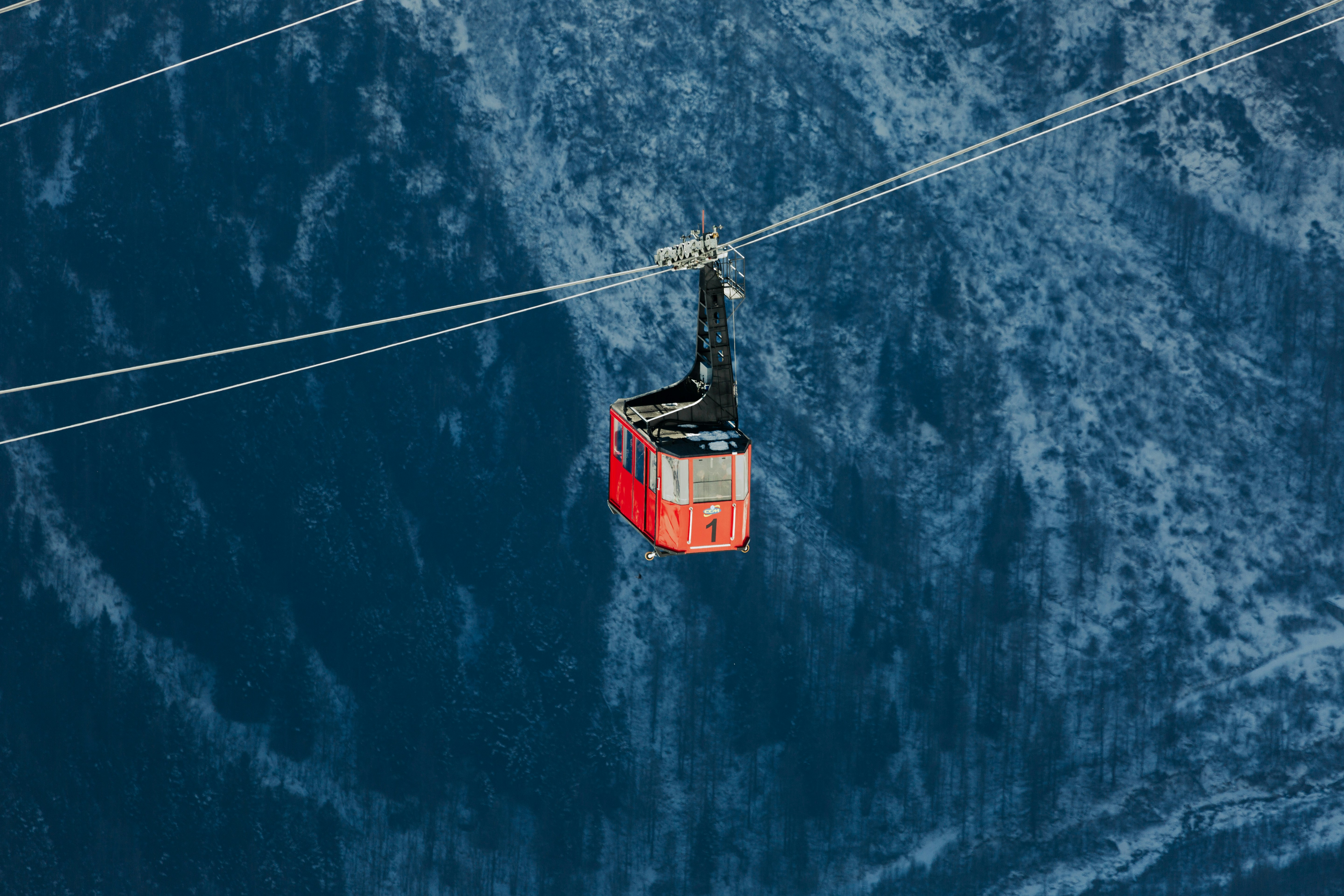 Red Cable Car Against a Sapphire Forest: A Quiet Descent Above the Pines