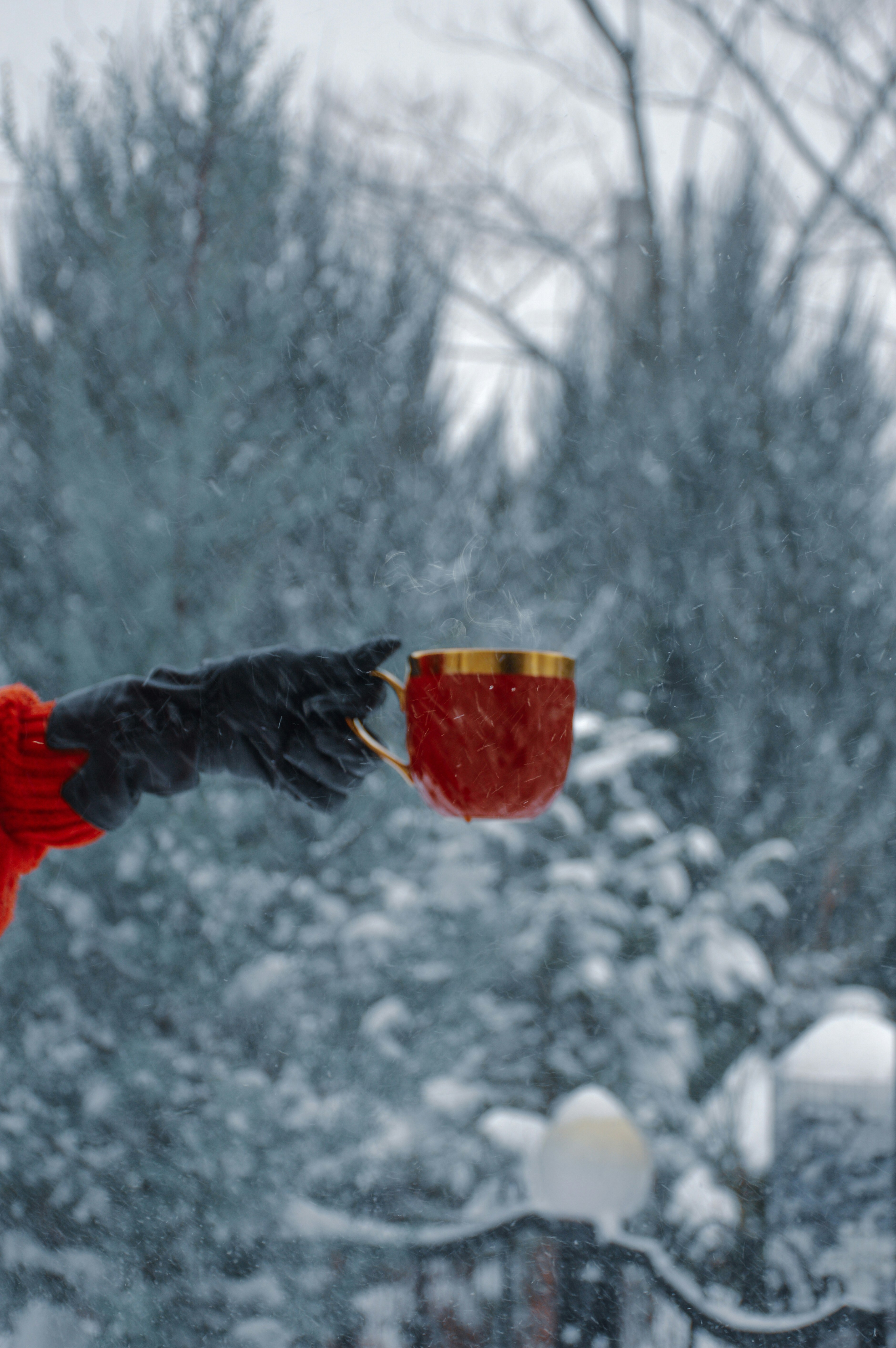 Crimson Cup in Snow: A Handful of Warmth Against Winter's Blur