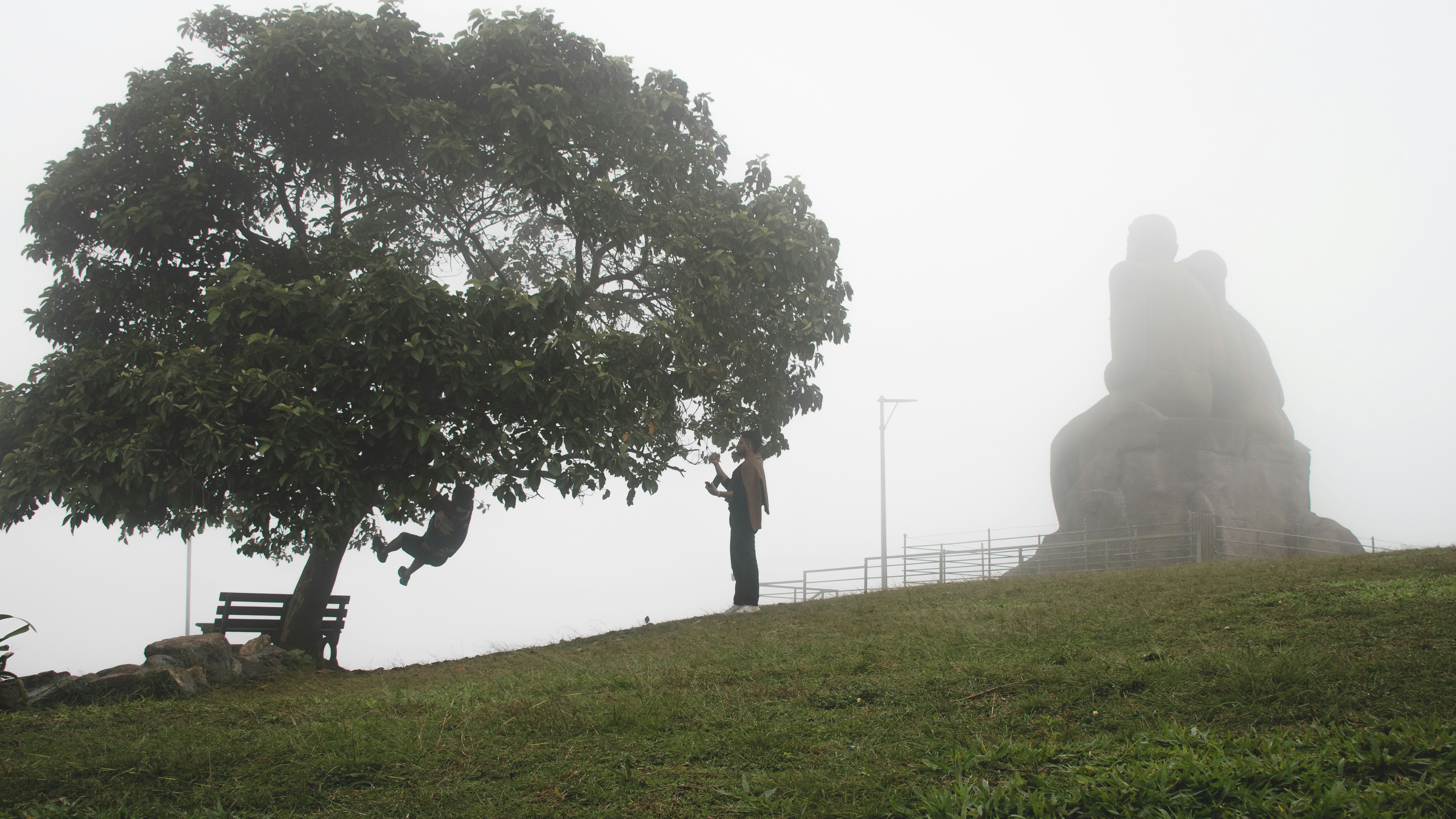 Mist on the Hill: Tree, Bench, and a Veiled Monument