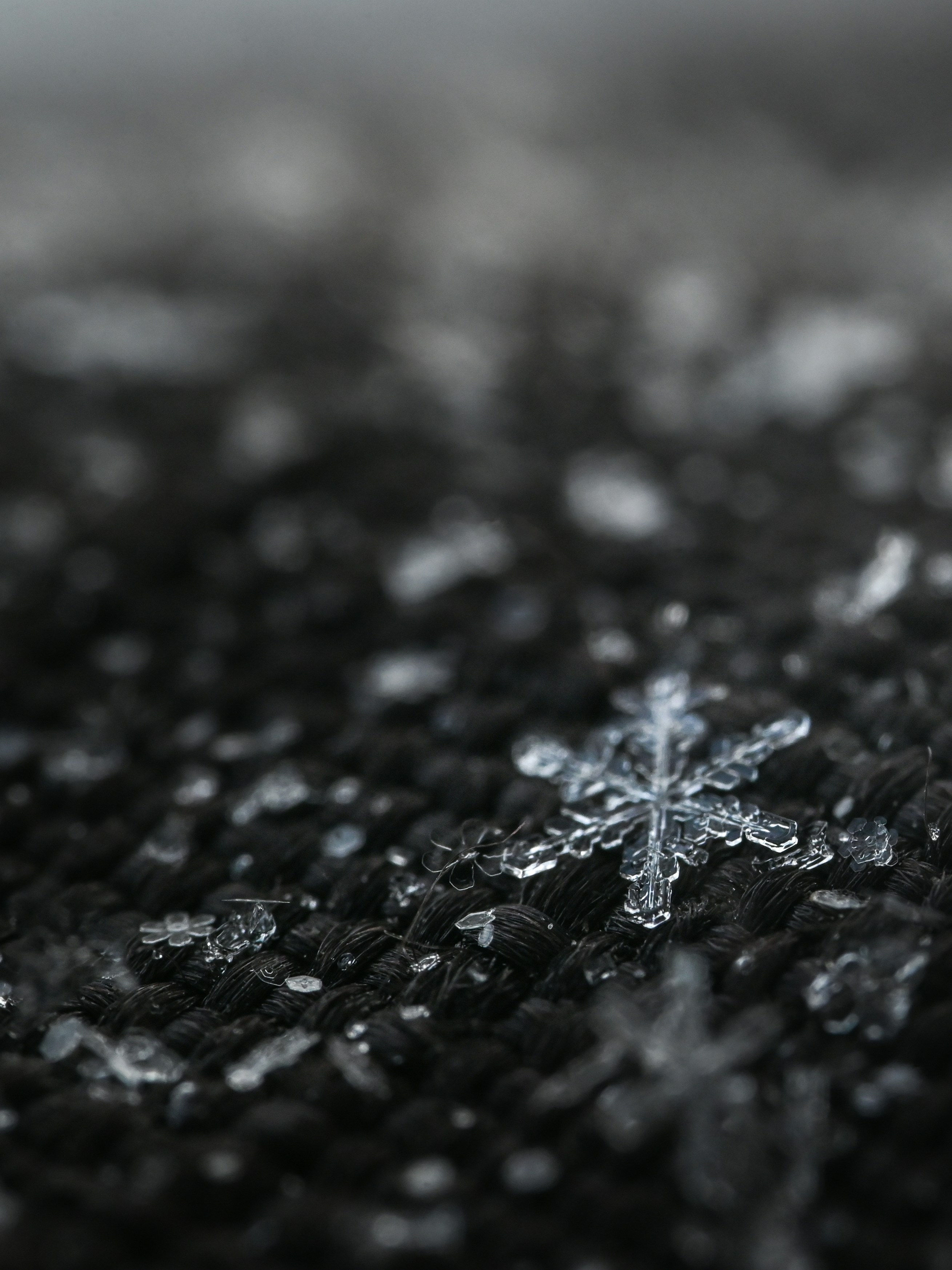 900+ Snowflake Background Images: Download HD Backgrounds on Unsplash