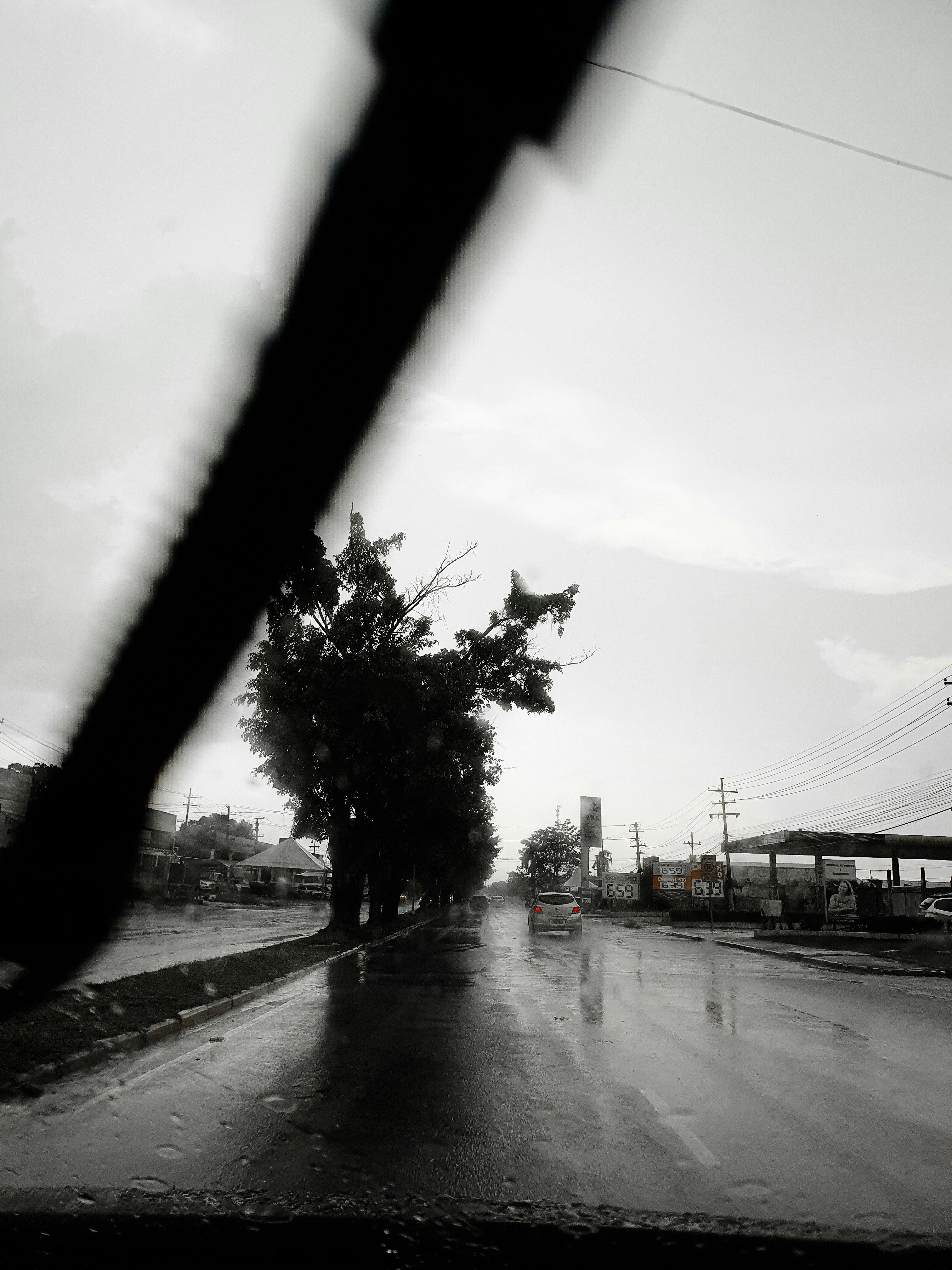 Black and white view of a wet street with trees and cars under a cloudy sky.