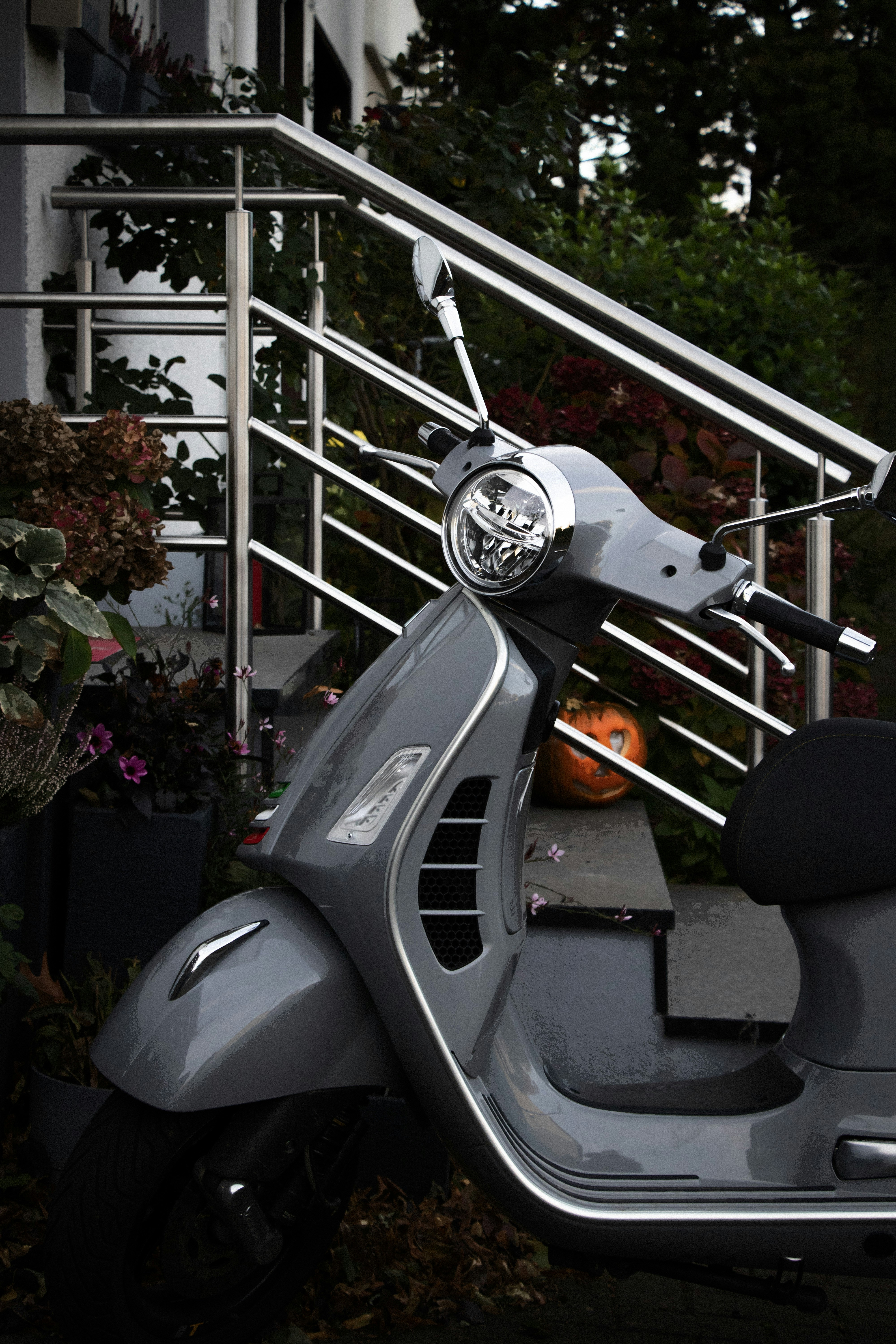 Photo by Sorin Basangeac with Canon EOS 80D