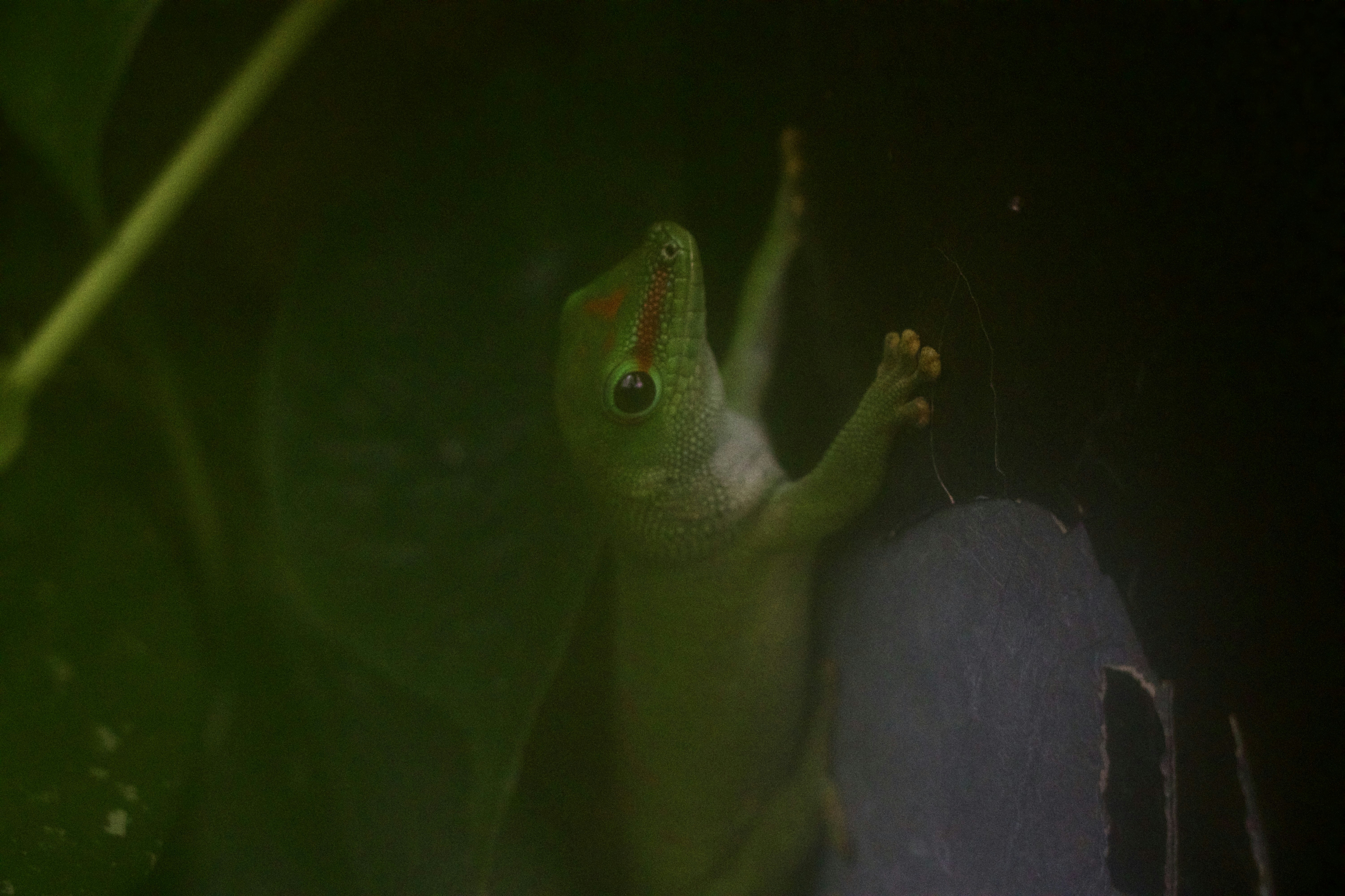 Photo by Daniel Carmona with Canon EOS 80D