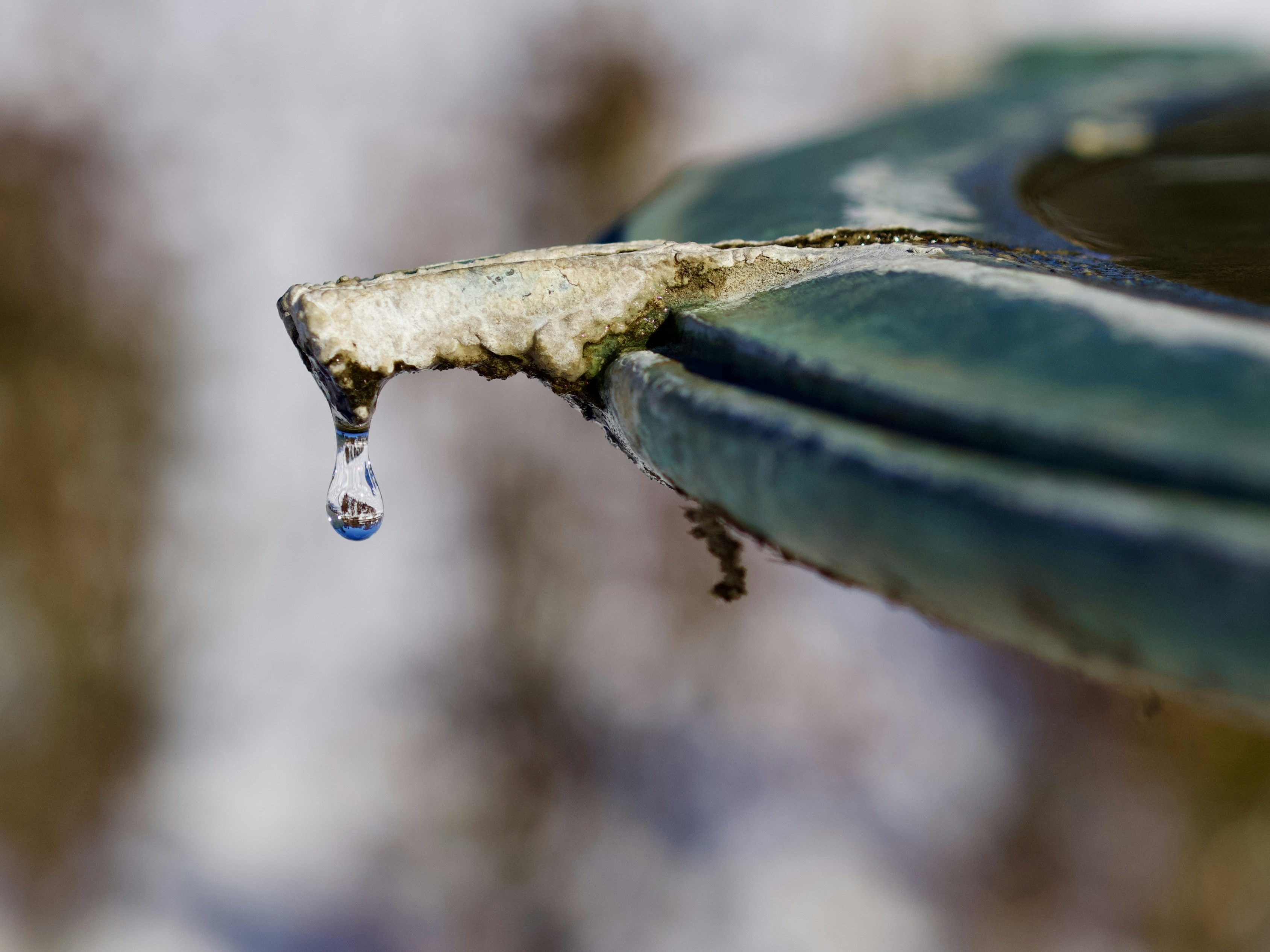 Photo by John Kostyk with Olympus OM-D E-M10 Mark IV