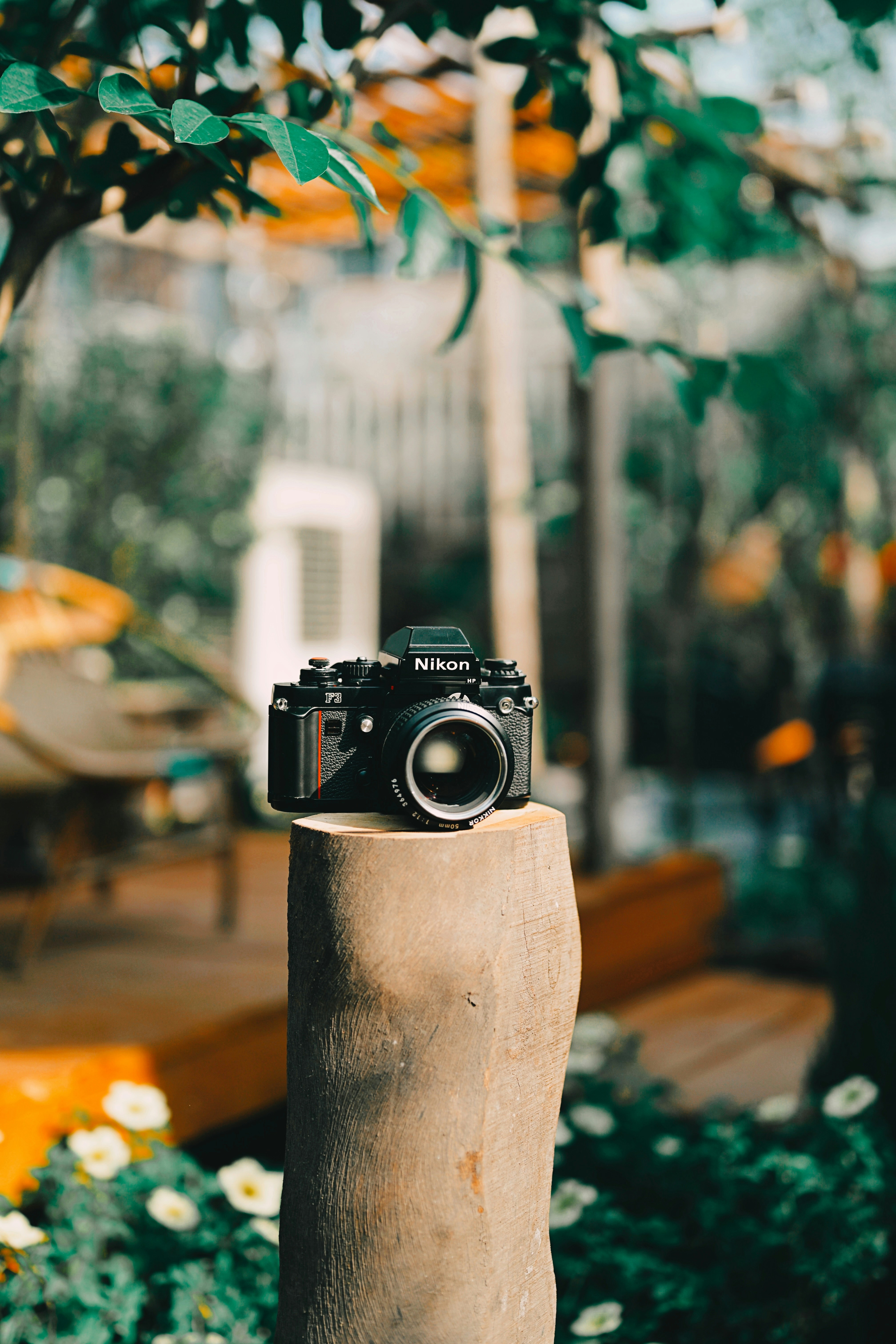 A camera sitting on top of a tree stump photo – Free Photo Image on ...