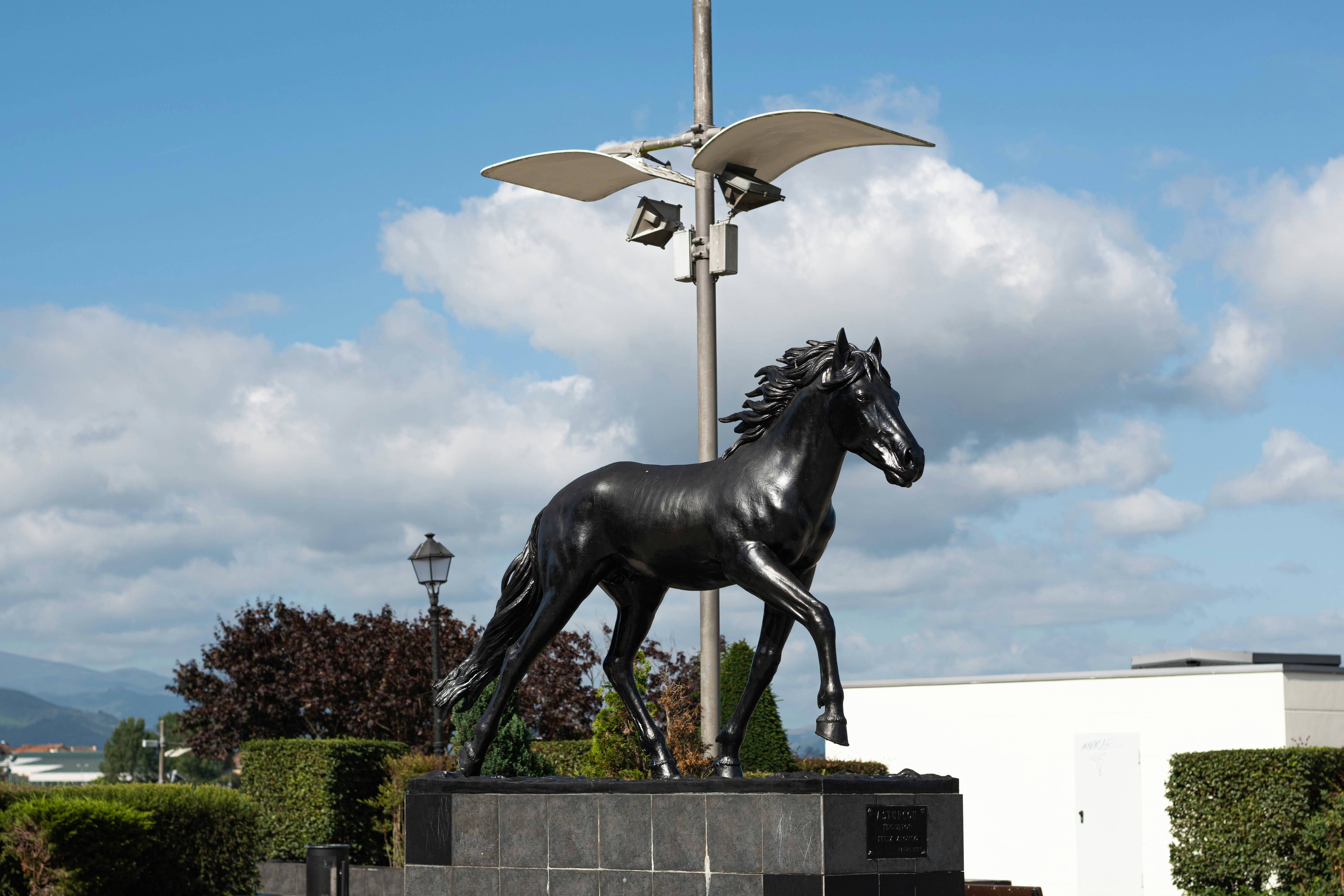Guardians of the Promenade: A Black Stallion Silhouetted Against Sky
