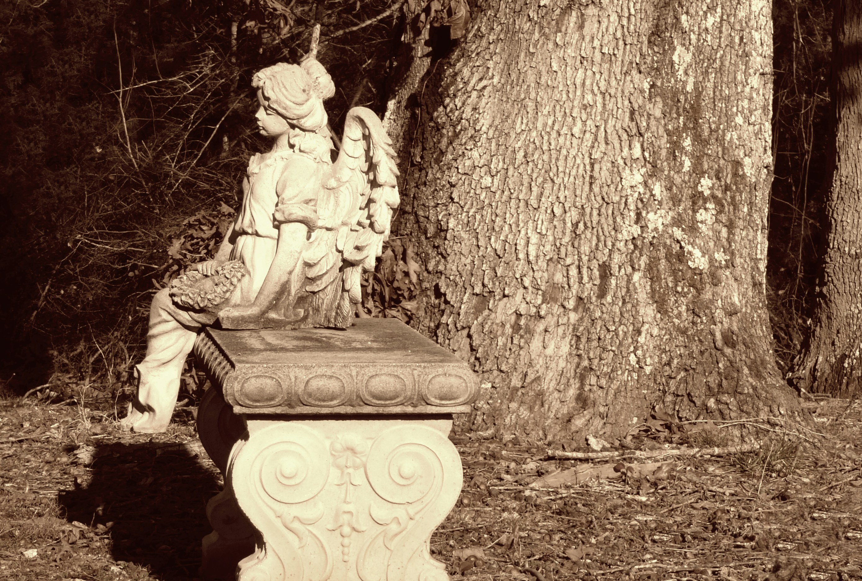 angel statue in cemetery | a statue of an angel sitting next to a tree
