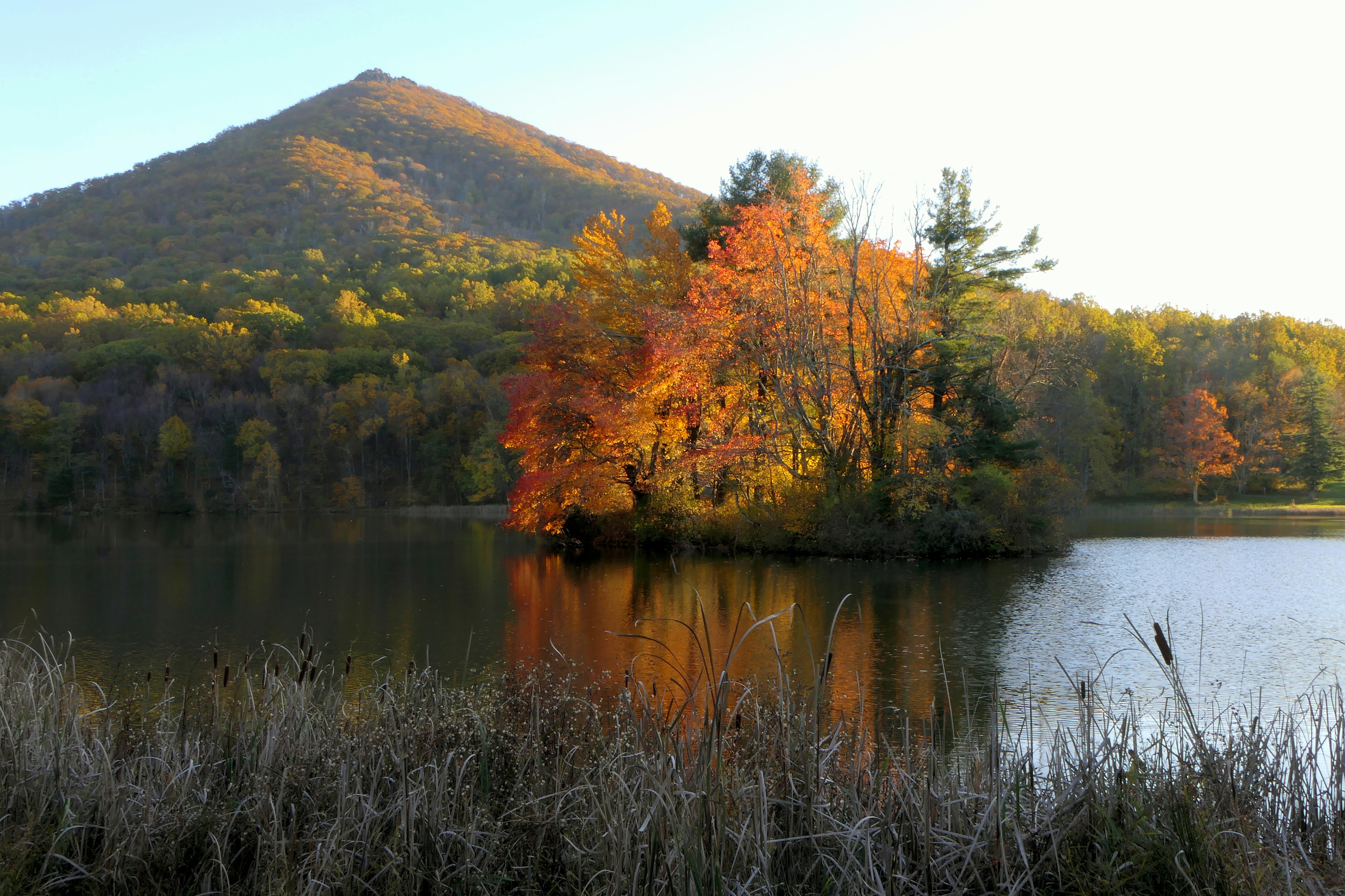 Crimson Isle: Autumn Fire Anchored in Quiet Waters