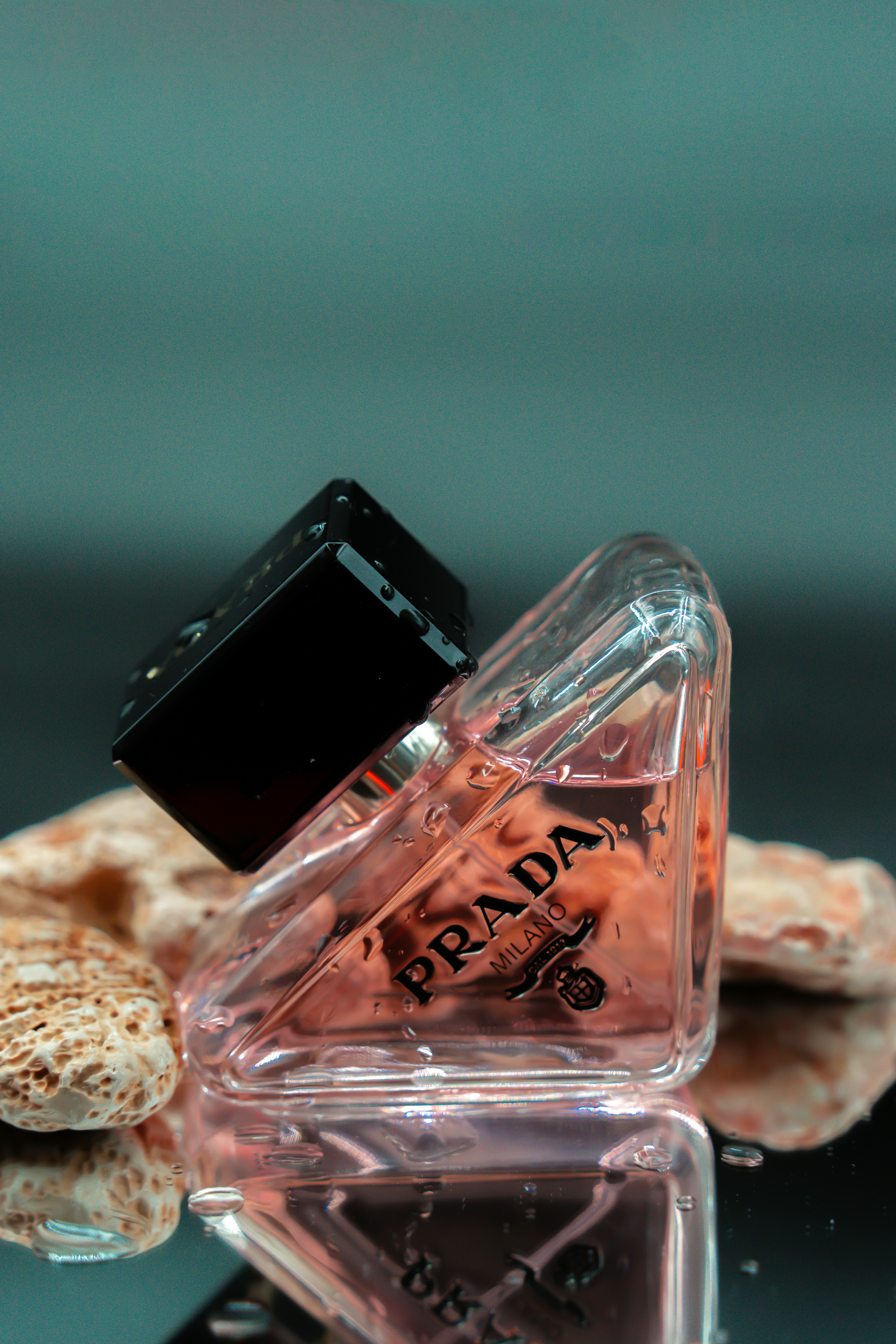 Photo by Maria Sime with Sony Alpha 7 IV