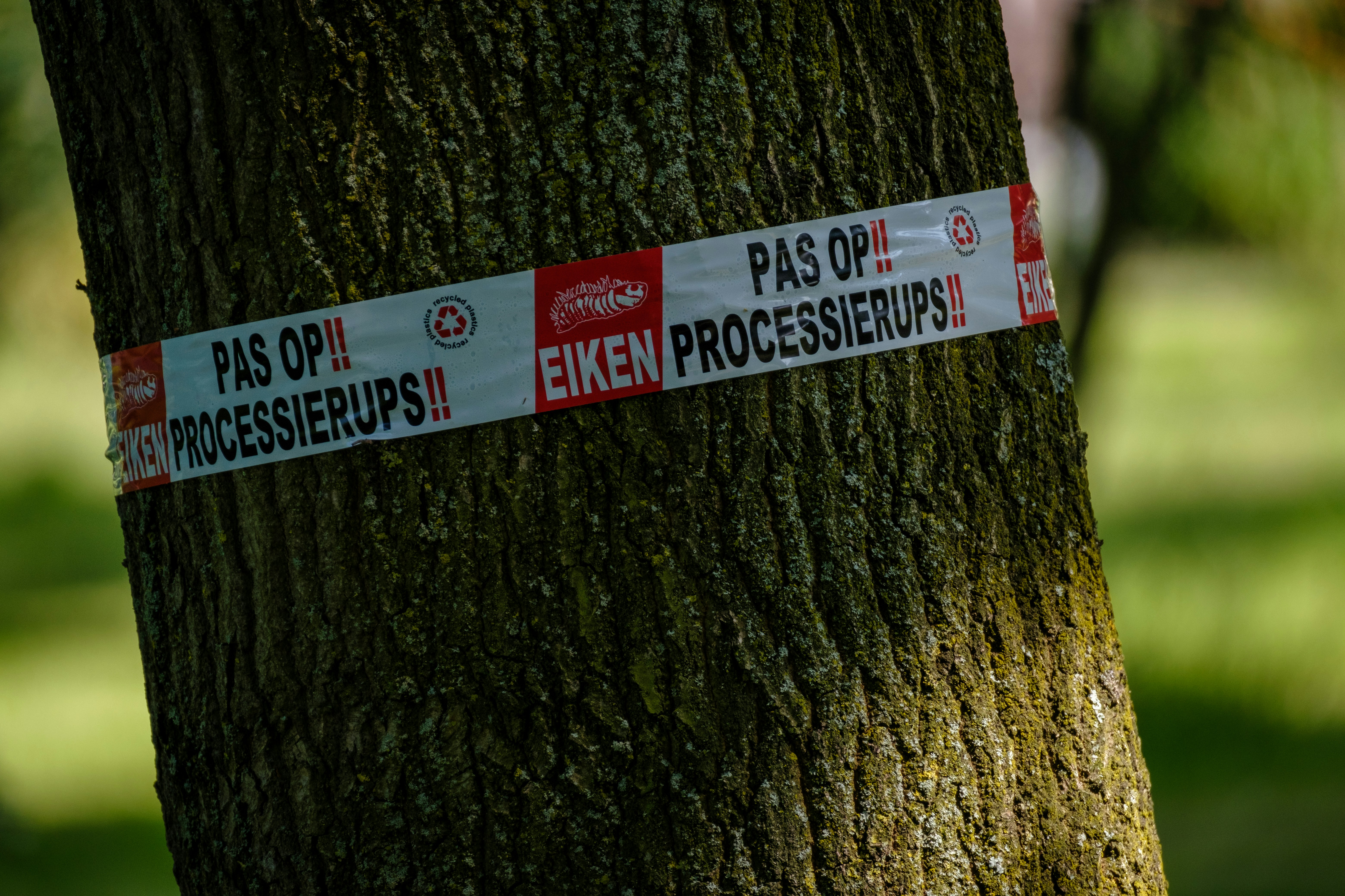 Warningsign for Oak Processionary