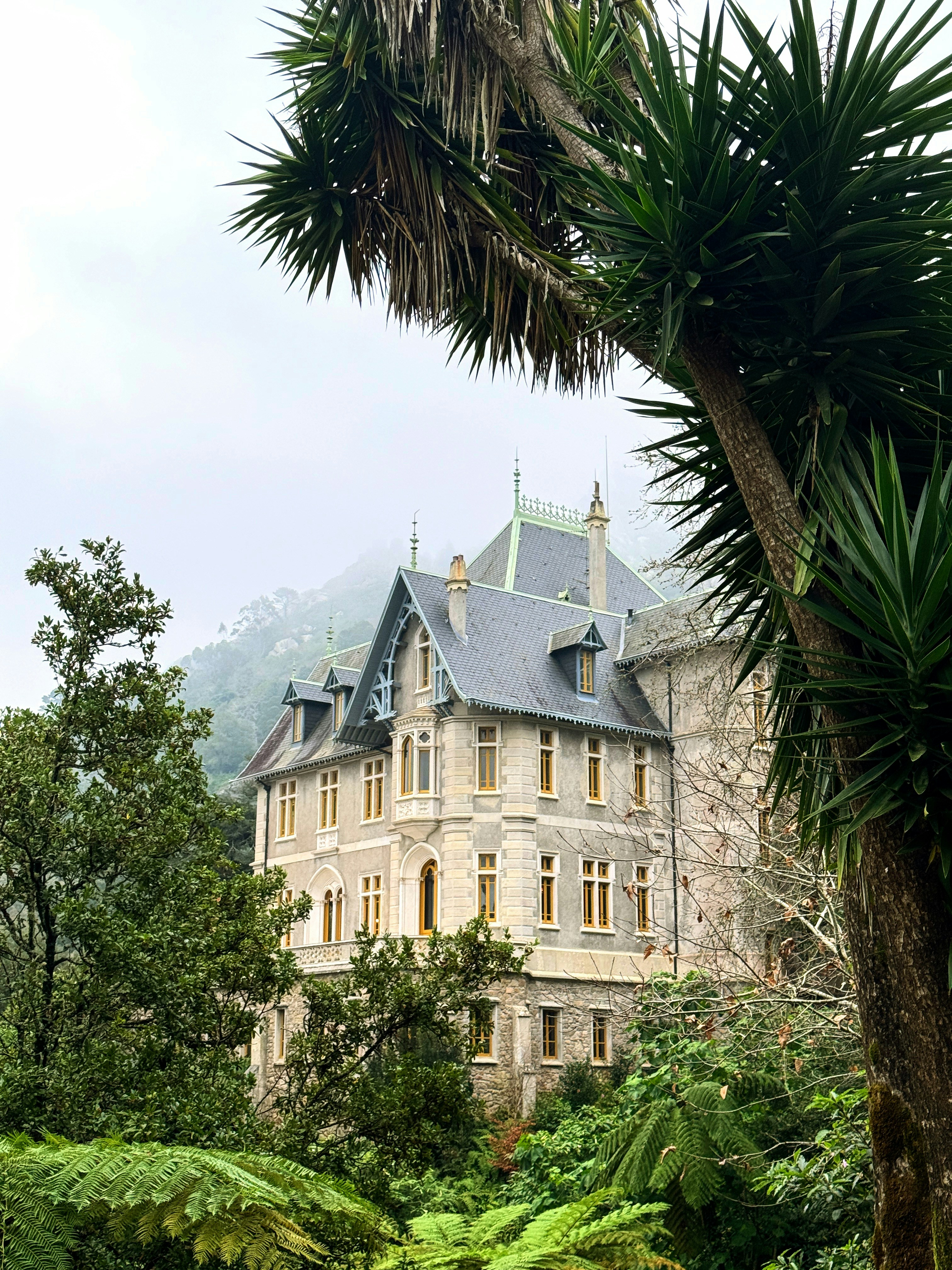 Verdant Veil Over a Stone Château