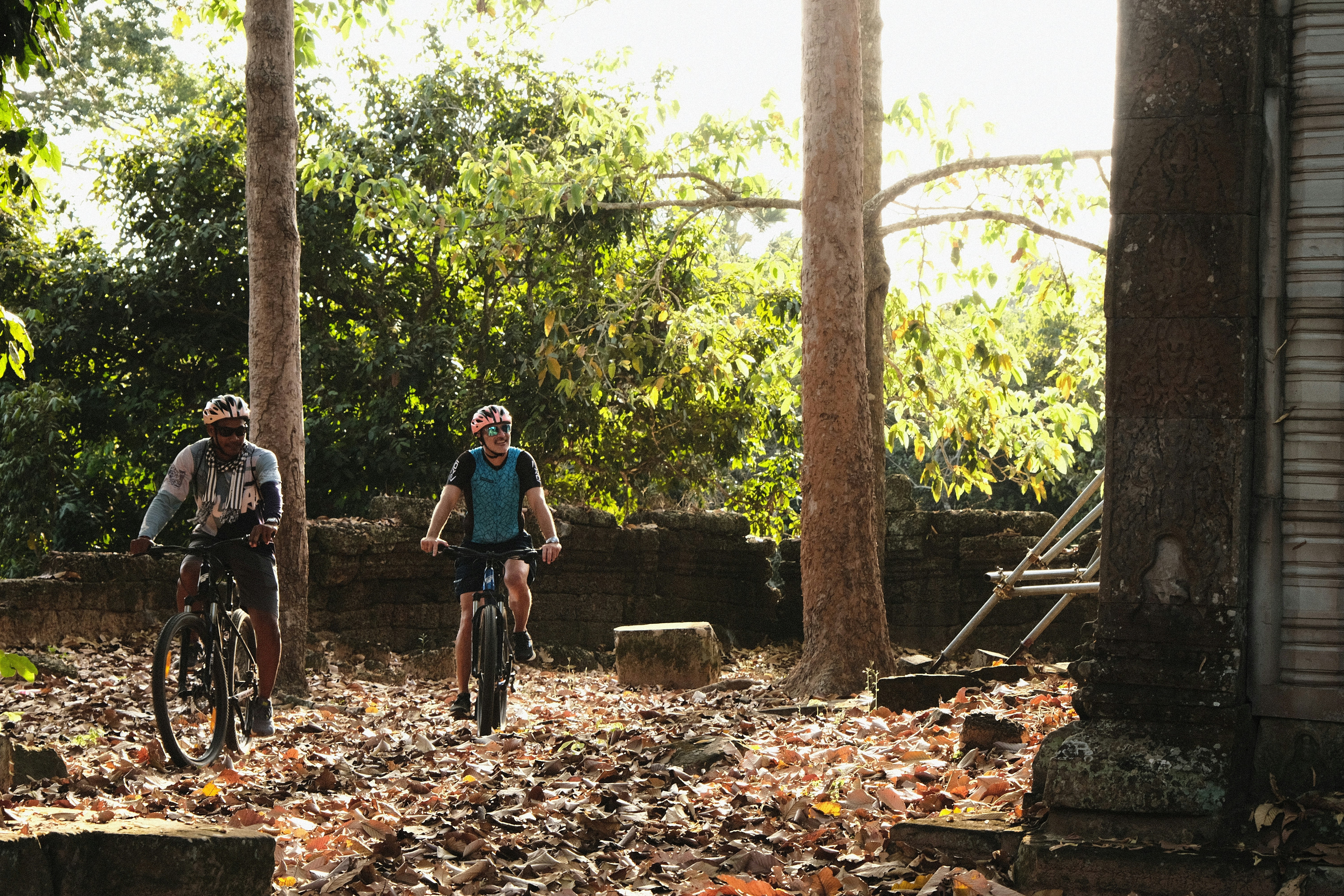 A couple of people riding bikes through a forest photo – Free Bicycle ...