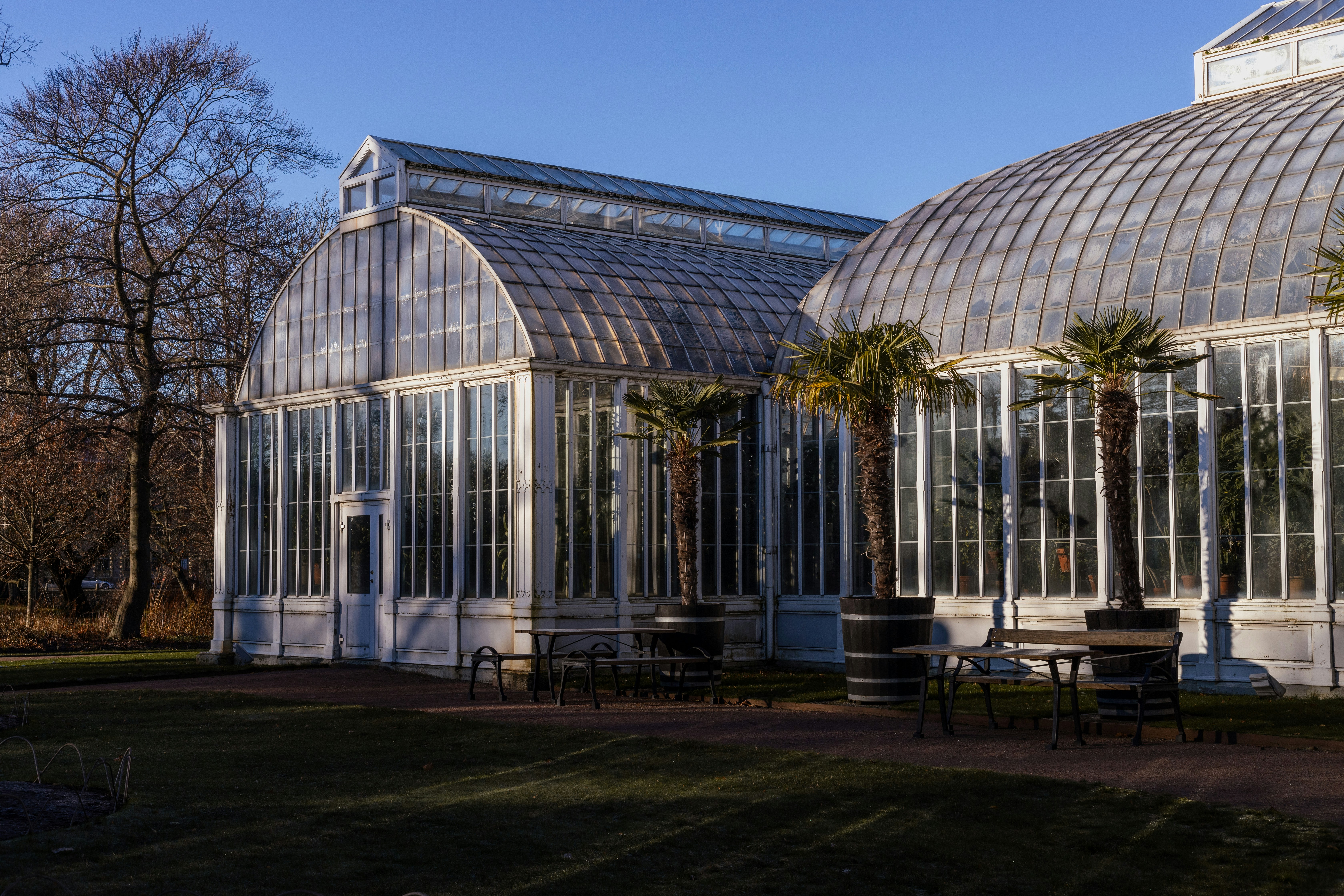 Photo by Simon N with Canon EOS R