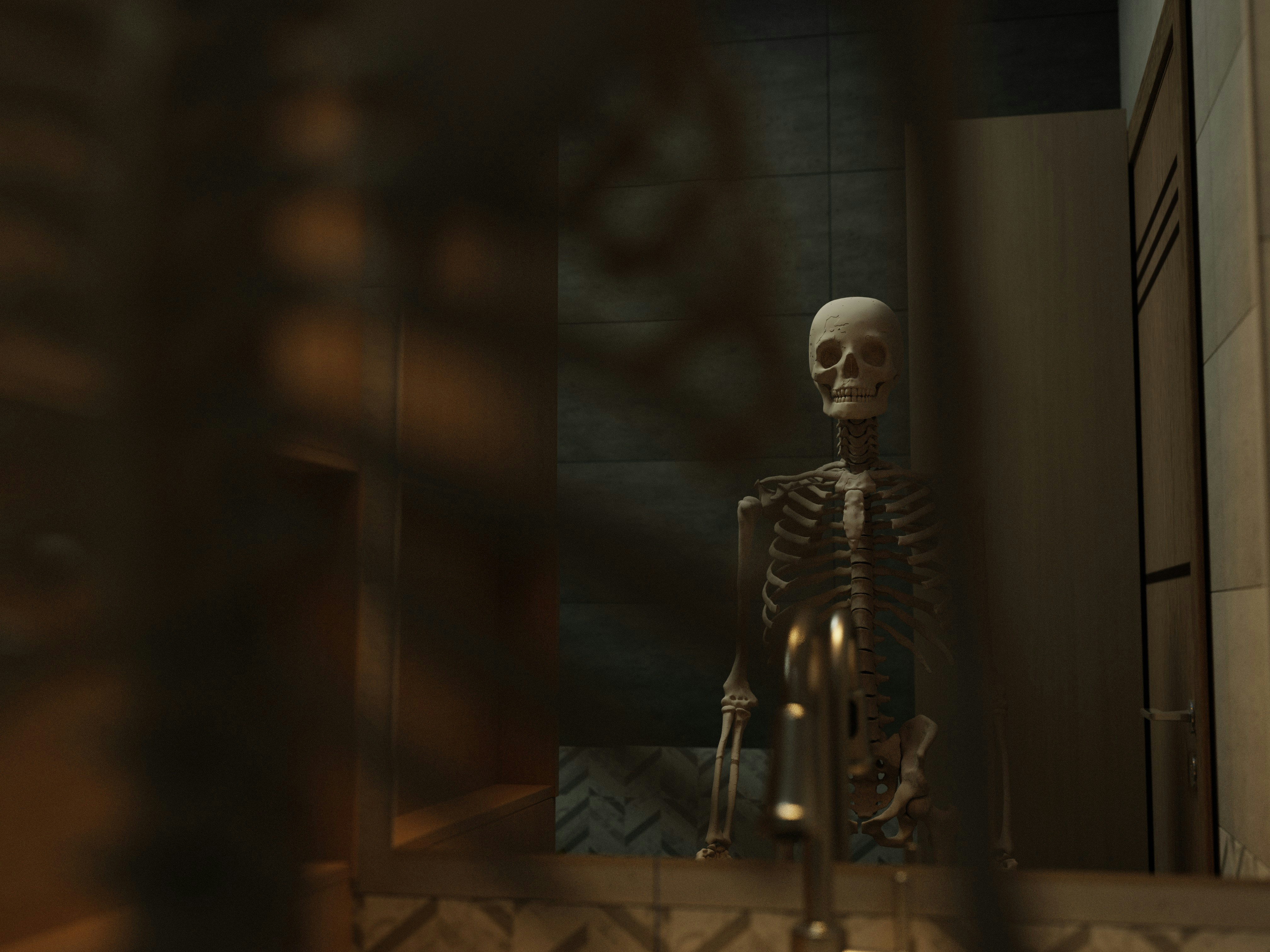 A skeleton standing in a bathroom next to a sink photo – Free Skeleton ...