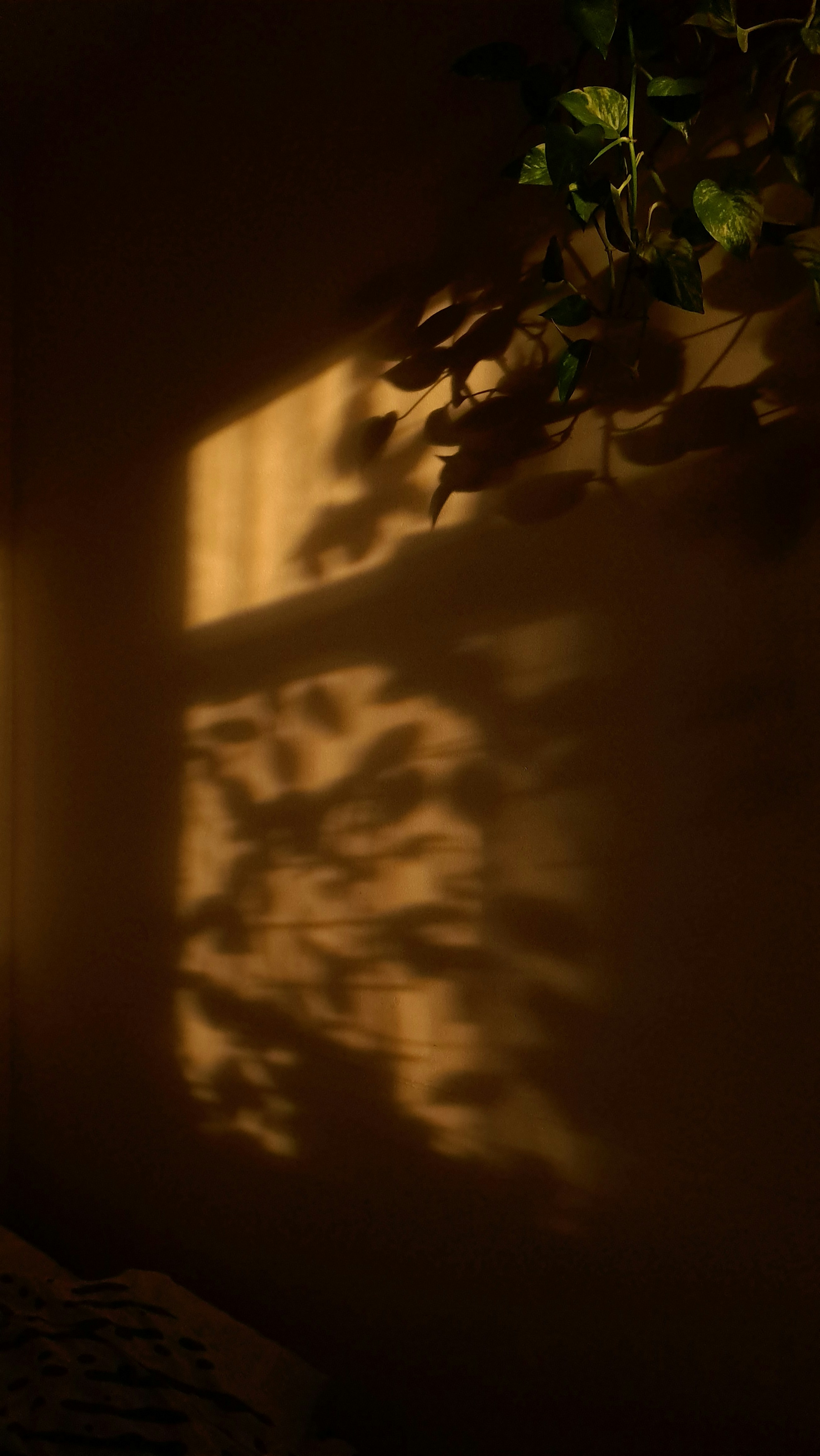 Photo by ana popescu with Samsung Galaxy A53