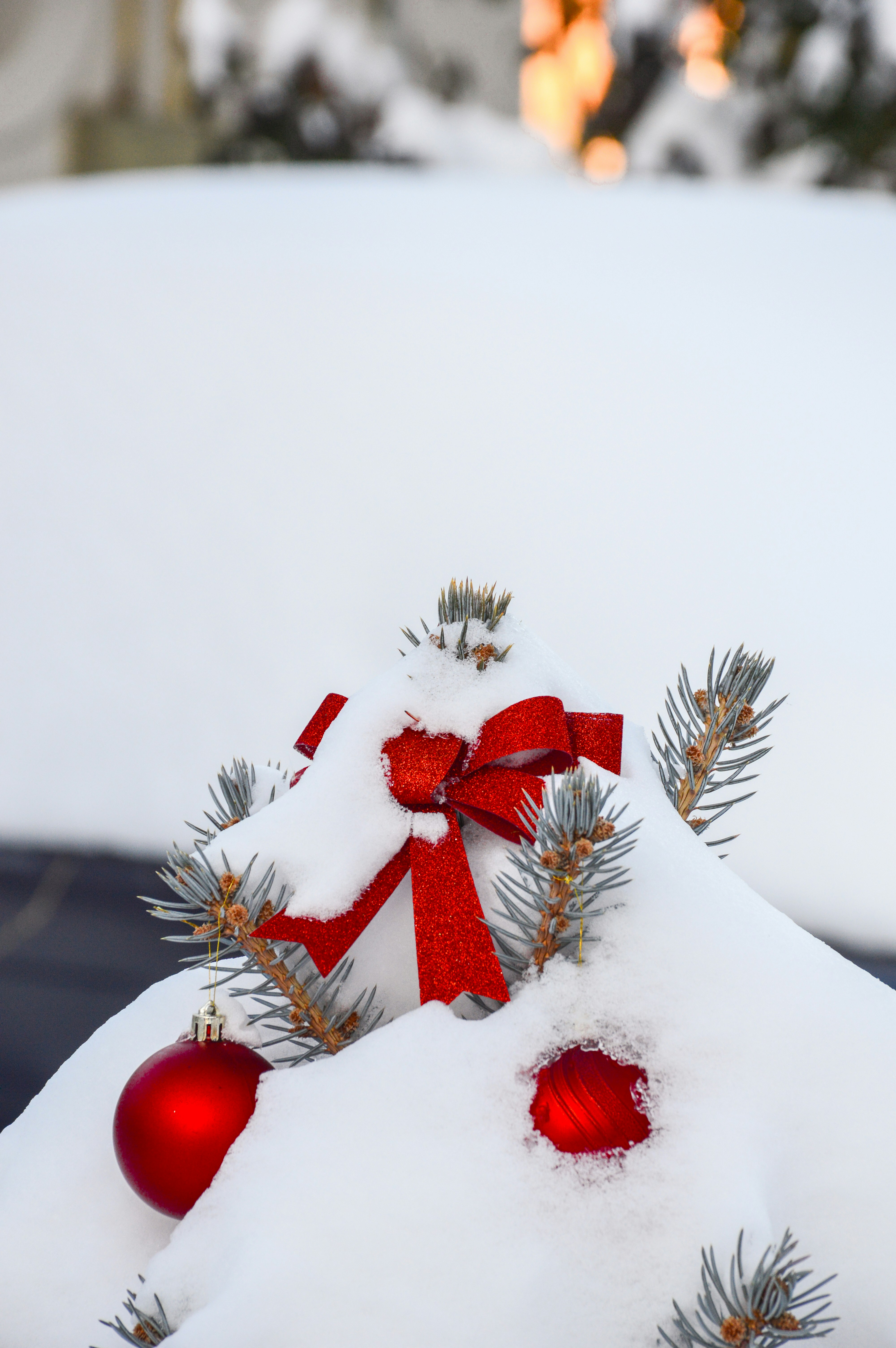 Crimson Ribbon Nest in Snow: Pine Sprigs and a Red Ornament