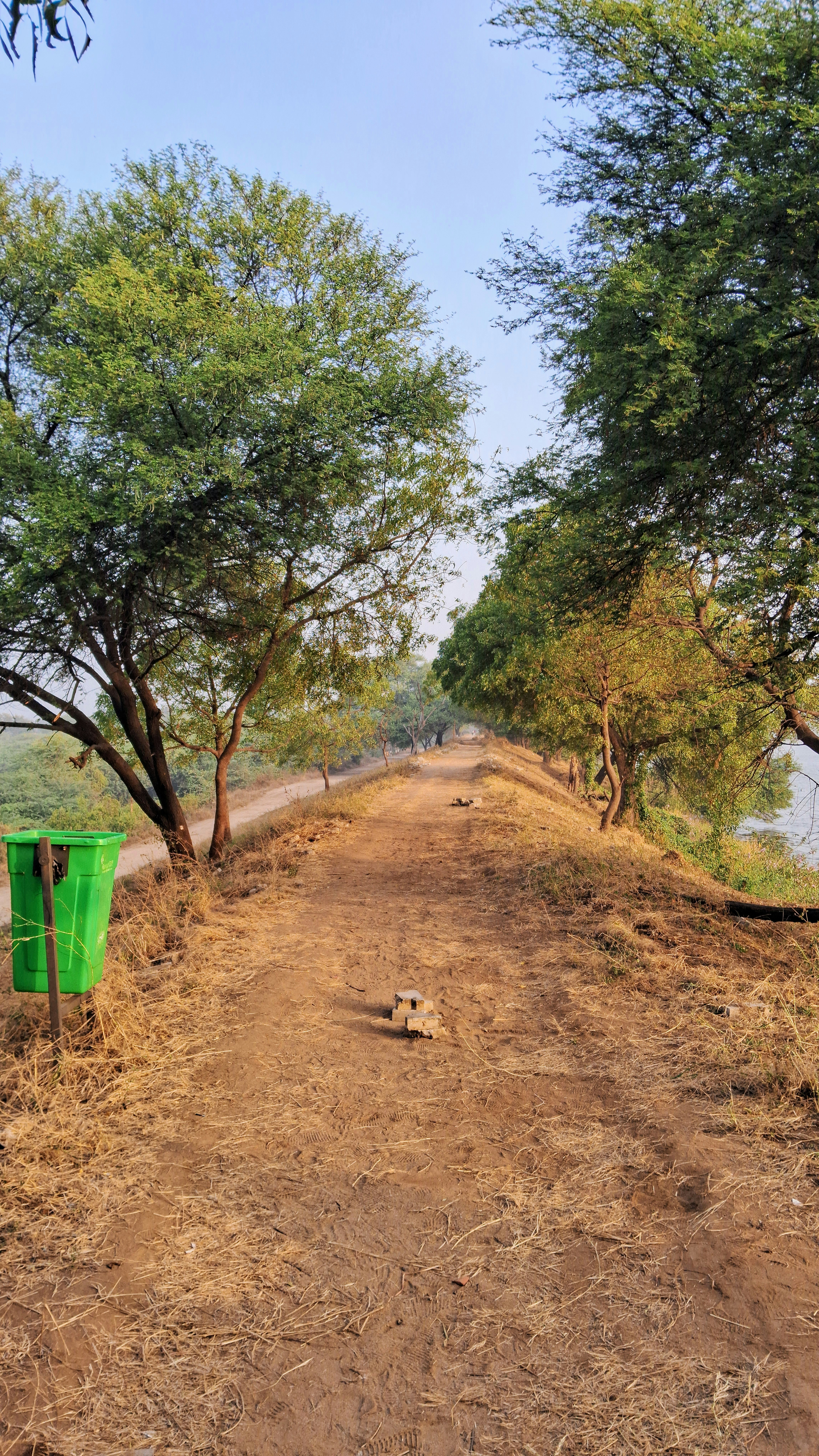 A sunlit dirt path winds between trees along a river, guiding the eye toward a distant vanishing point. A bright green trash bin sits on the left.