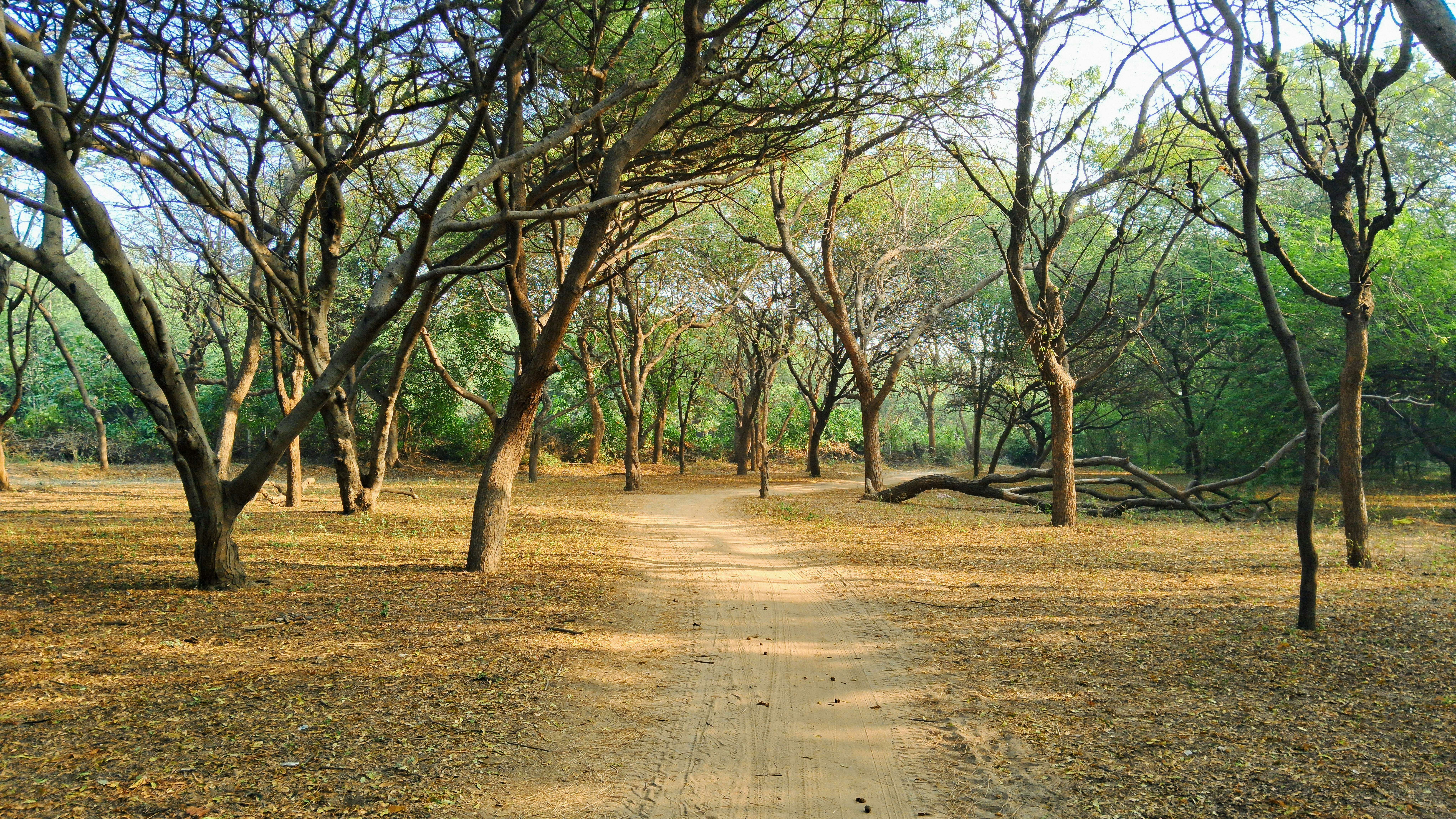 Sample photo from Samsung Galaxy F14