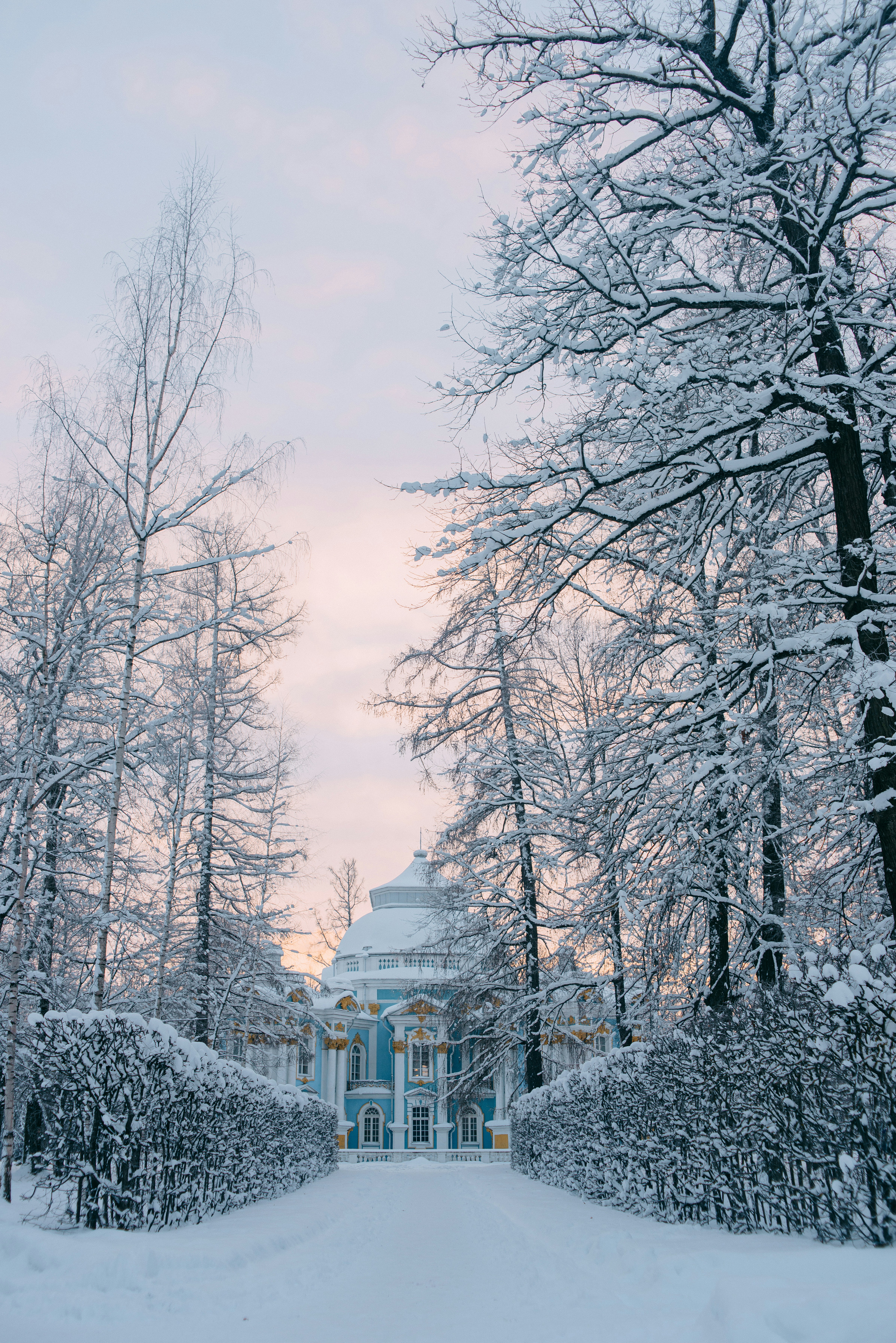 Turquoise Manor at the End of a Snowlit Avenue