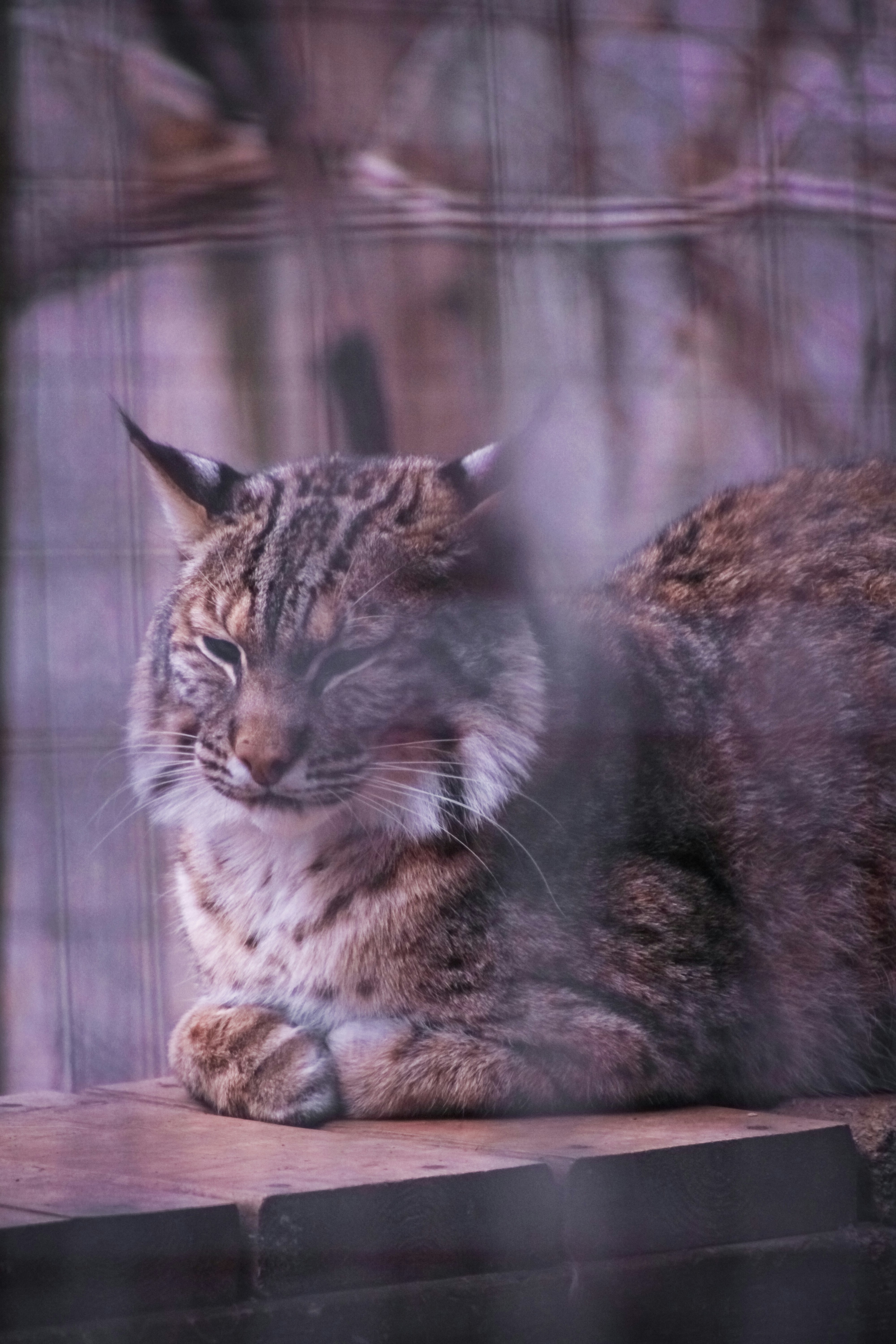 Ethan Currier (@ethancurrier) | Unsplashフォトコミュニティ