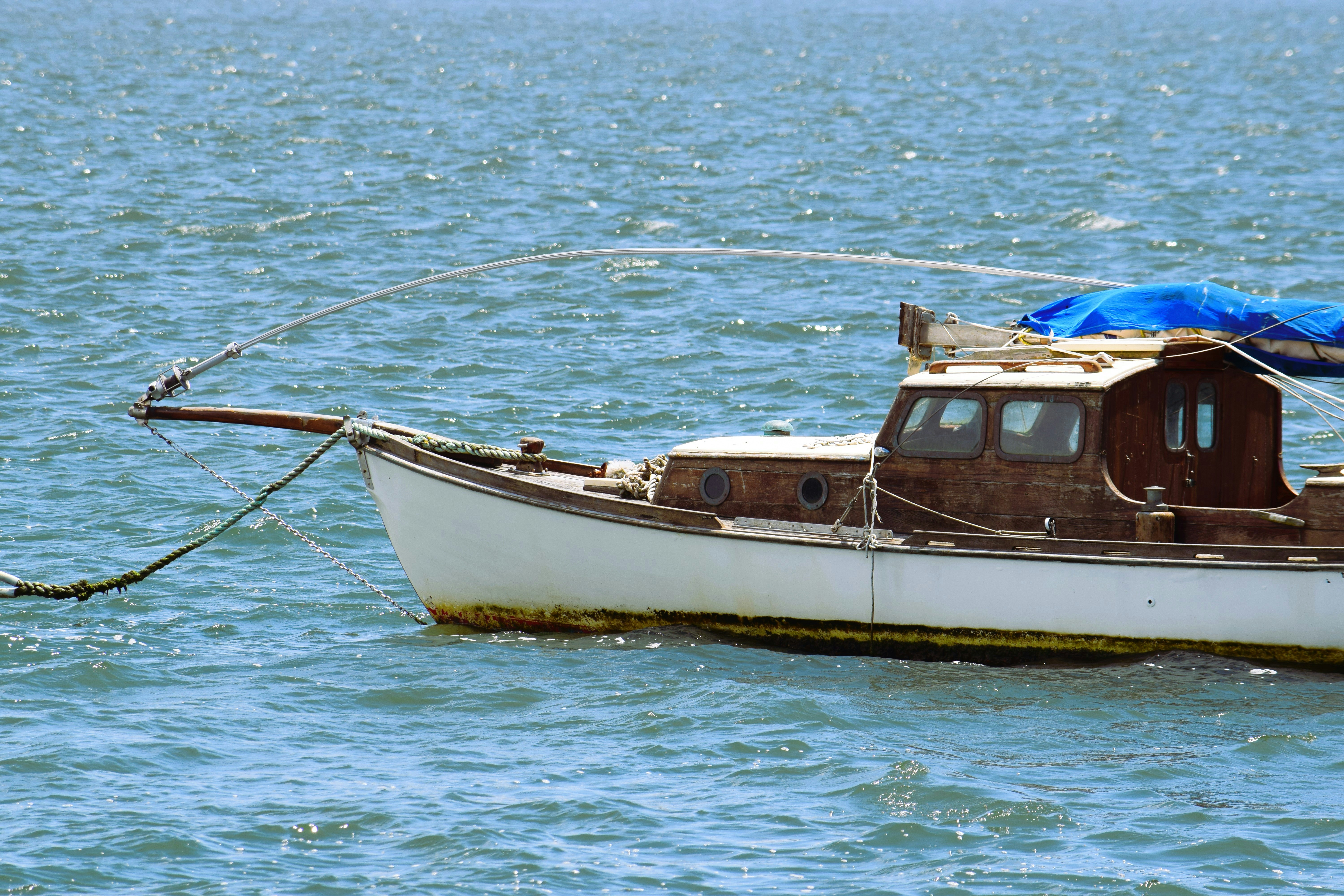 Photo by Ch Photography with Nikon D3300