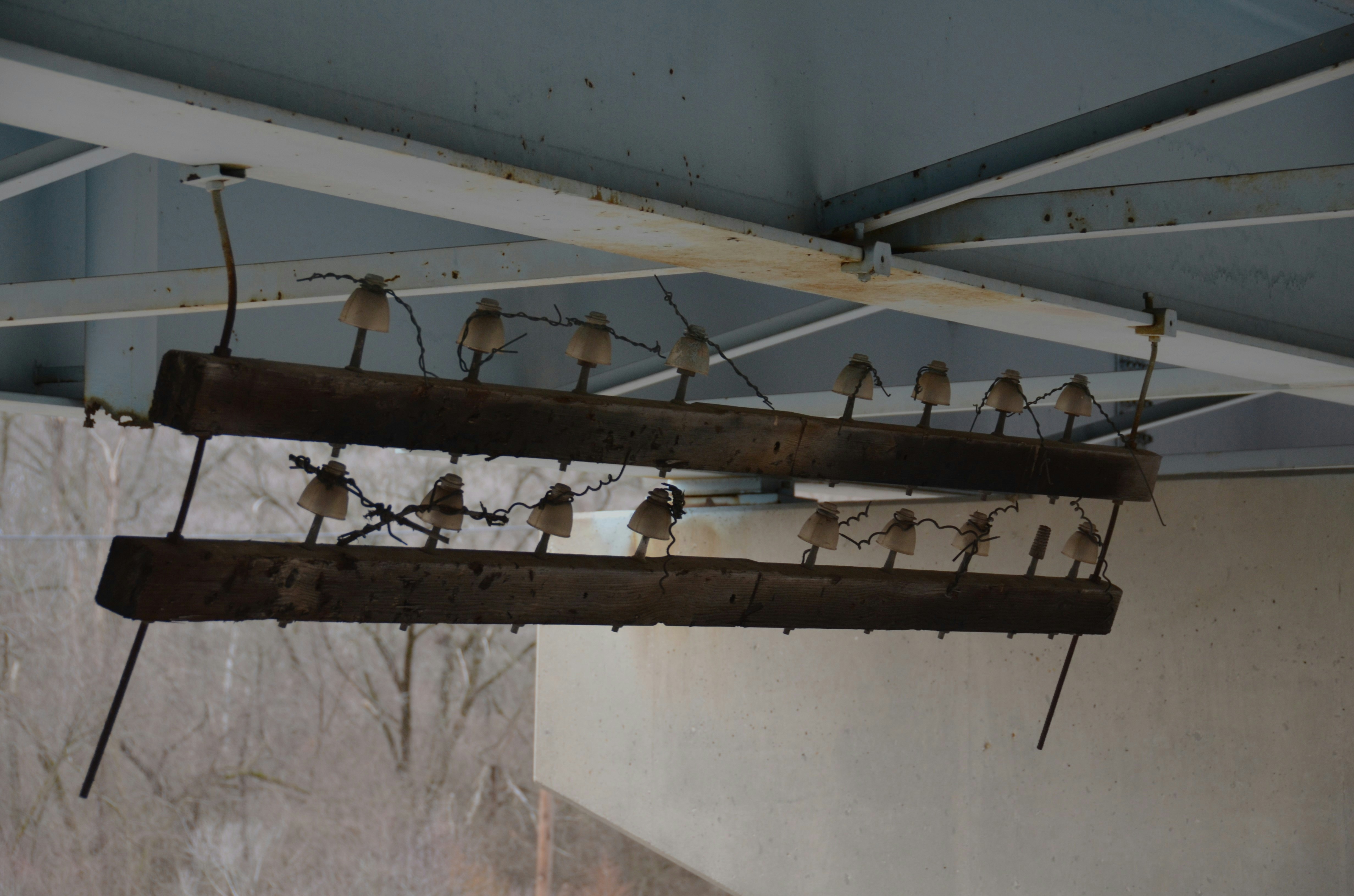 Chorus of Finches on a Weathered Feeder under a Sheltered Beam