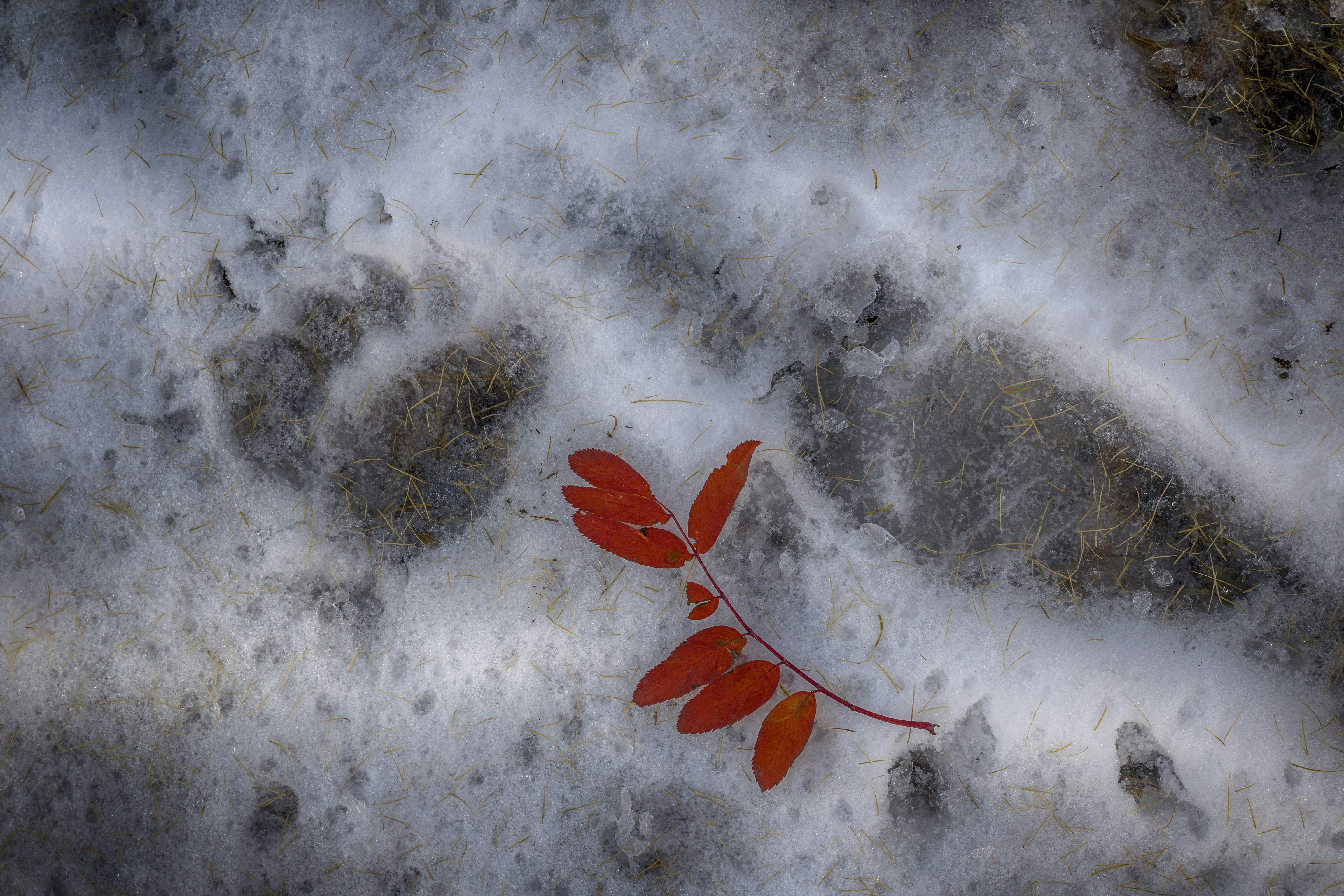 Photo by Duman Shaker with Nikon D3100