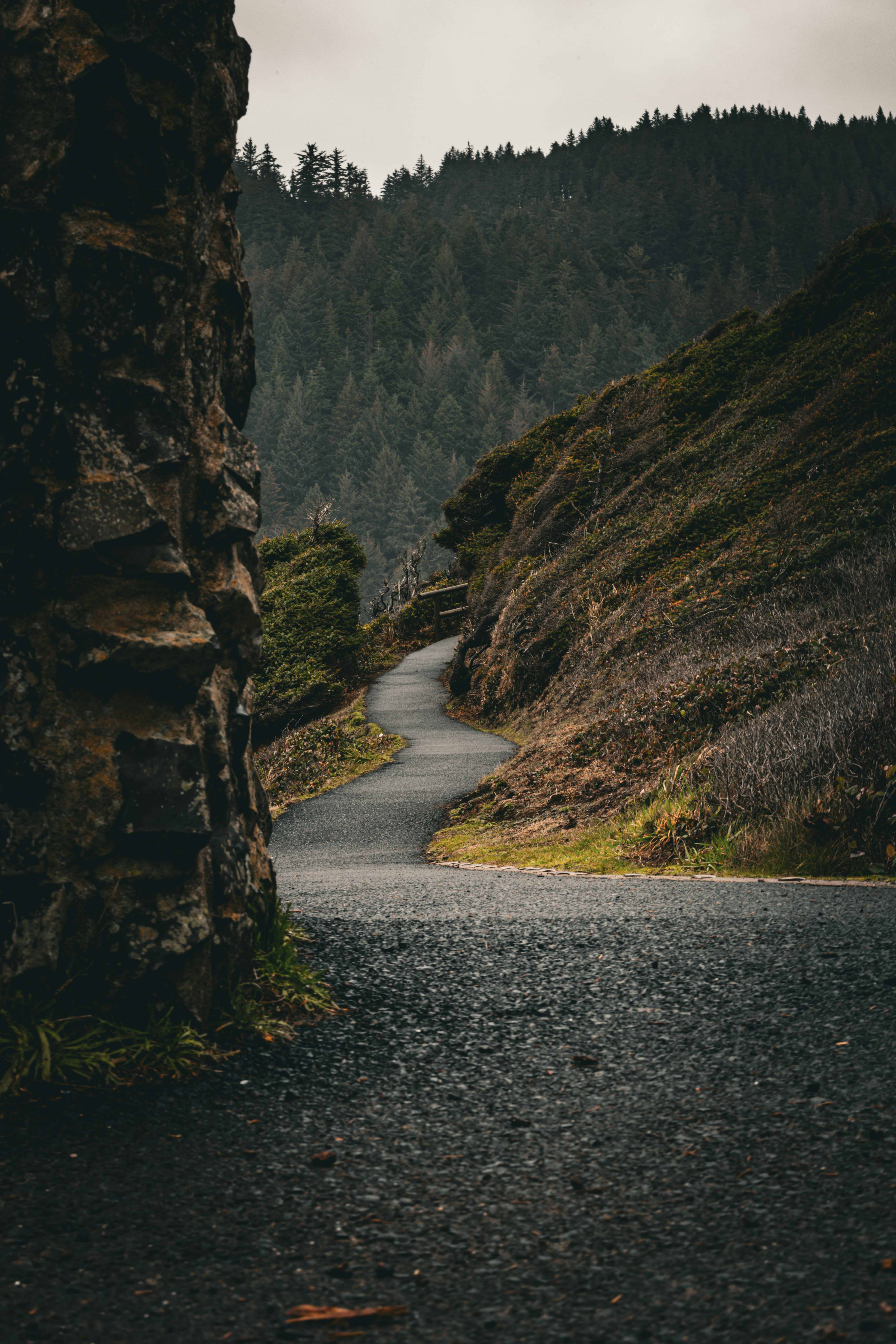 A narrow road with a stone wall and trees in the background photo ...