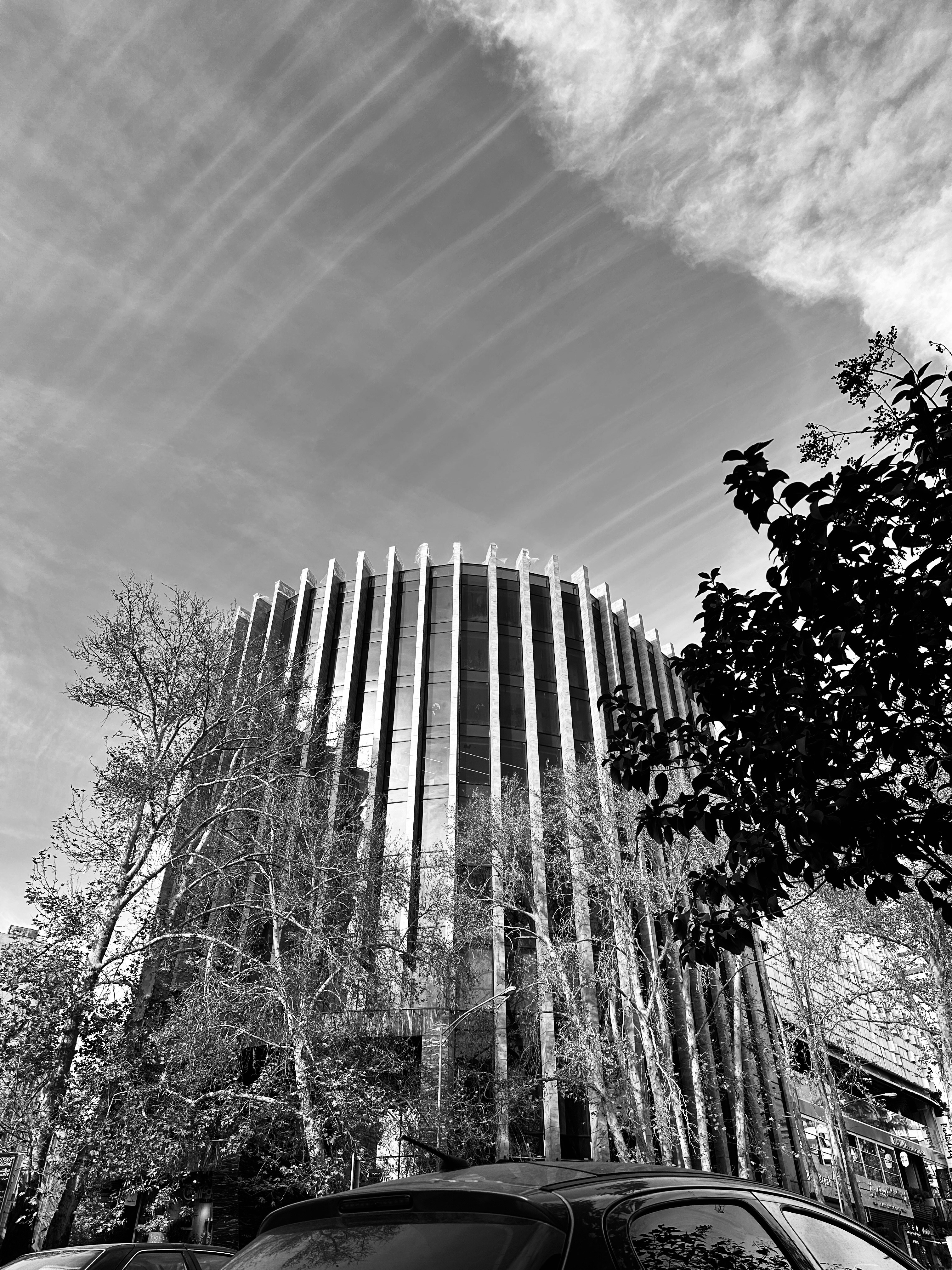 Ribbed Cylinder Tower Framed by Urban Foliage under a Striated Sky