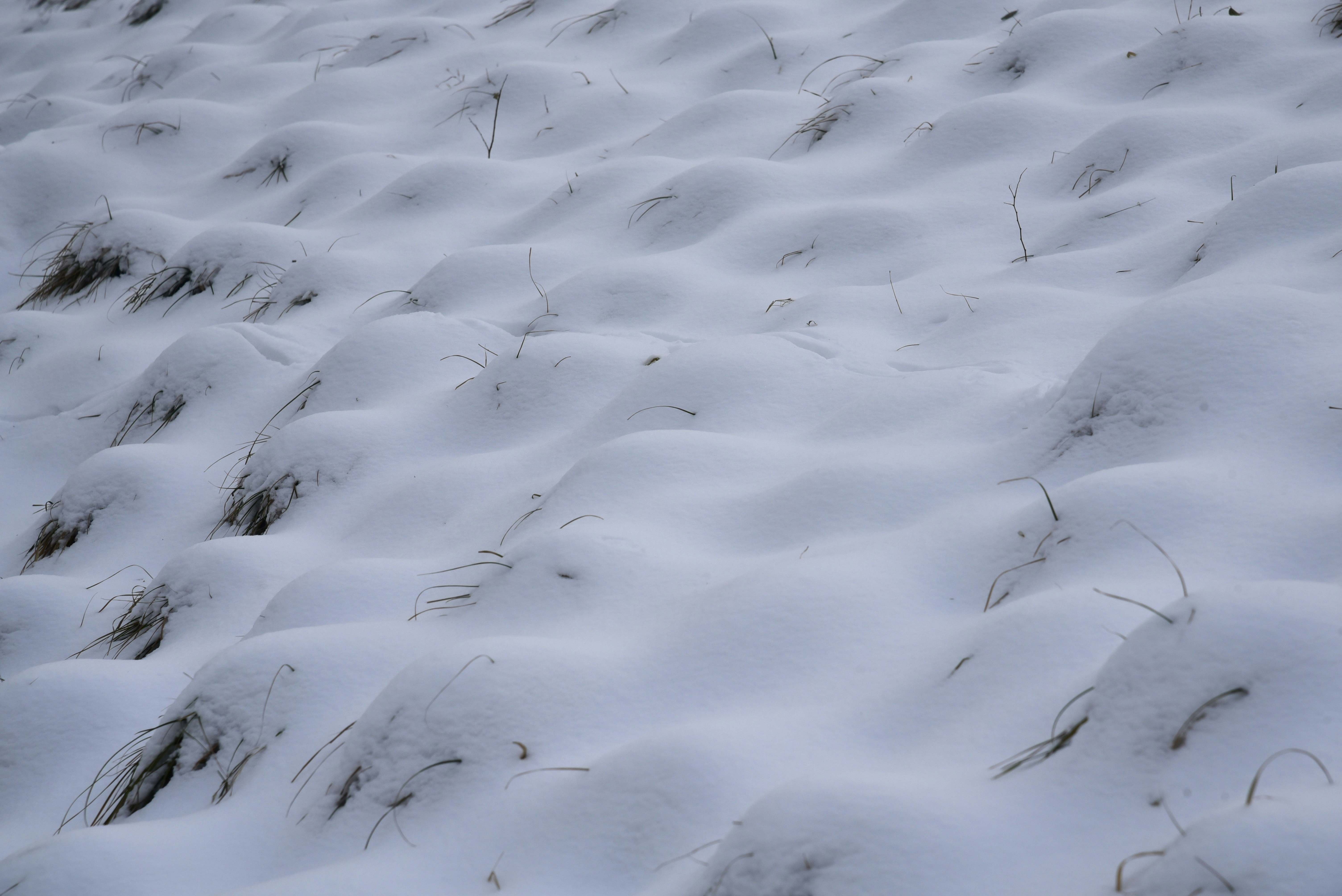 See you next year～