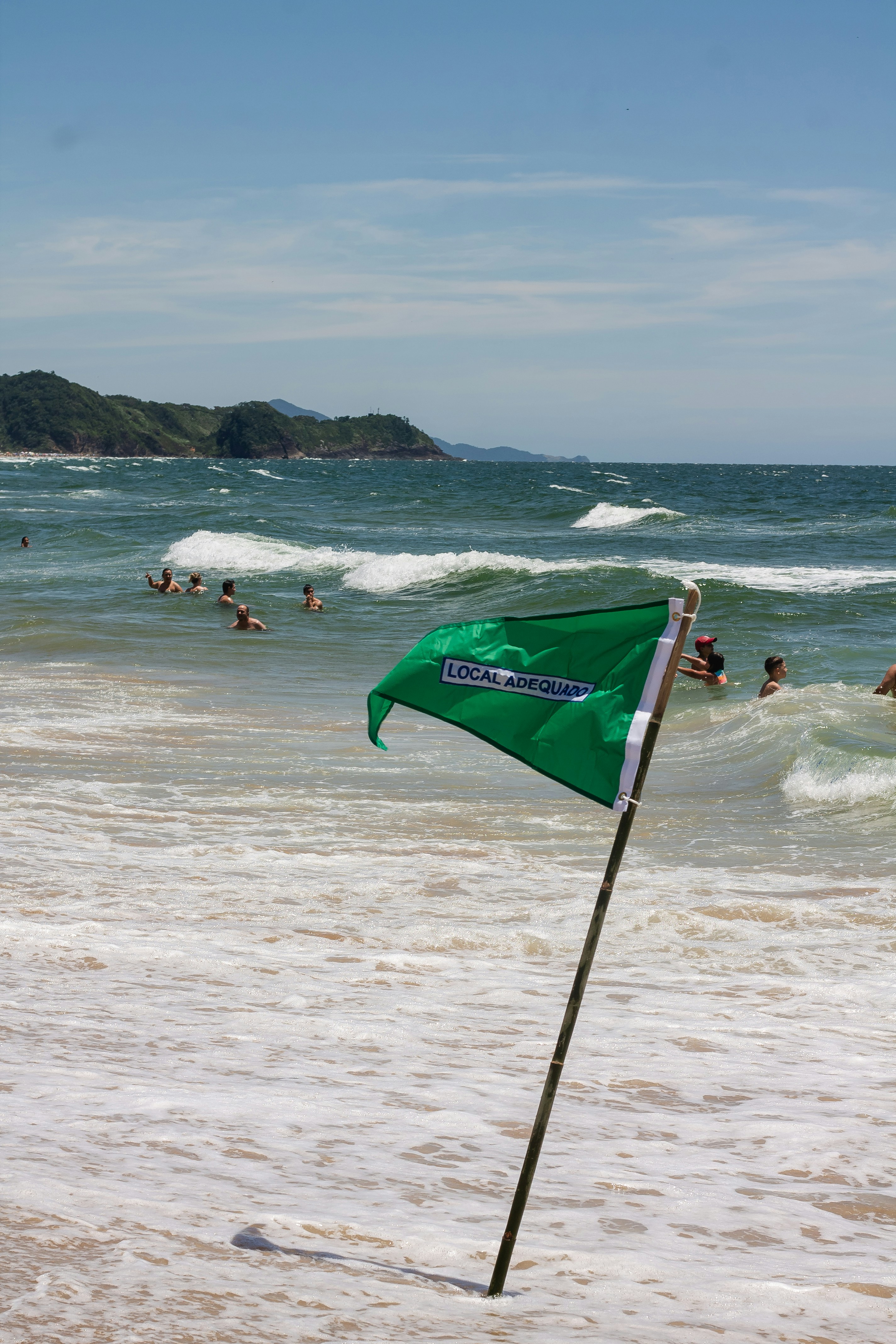 A green flag sticking out of the sand of a beach photo – Free Human ...