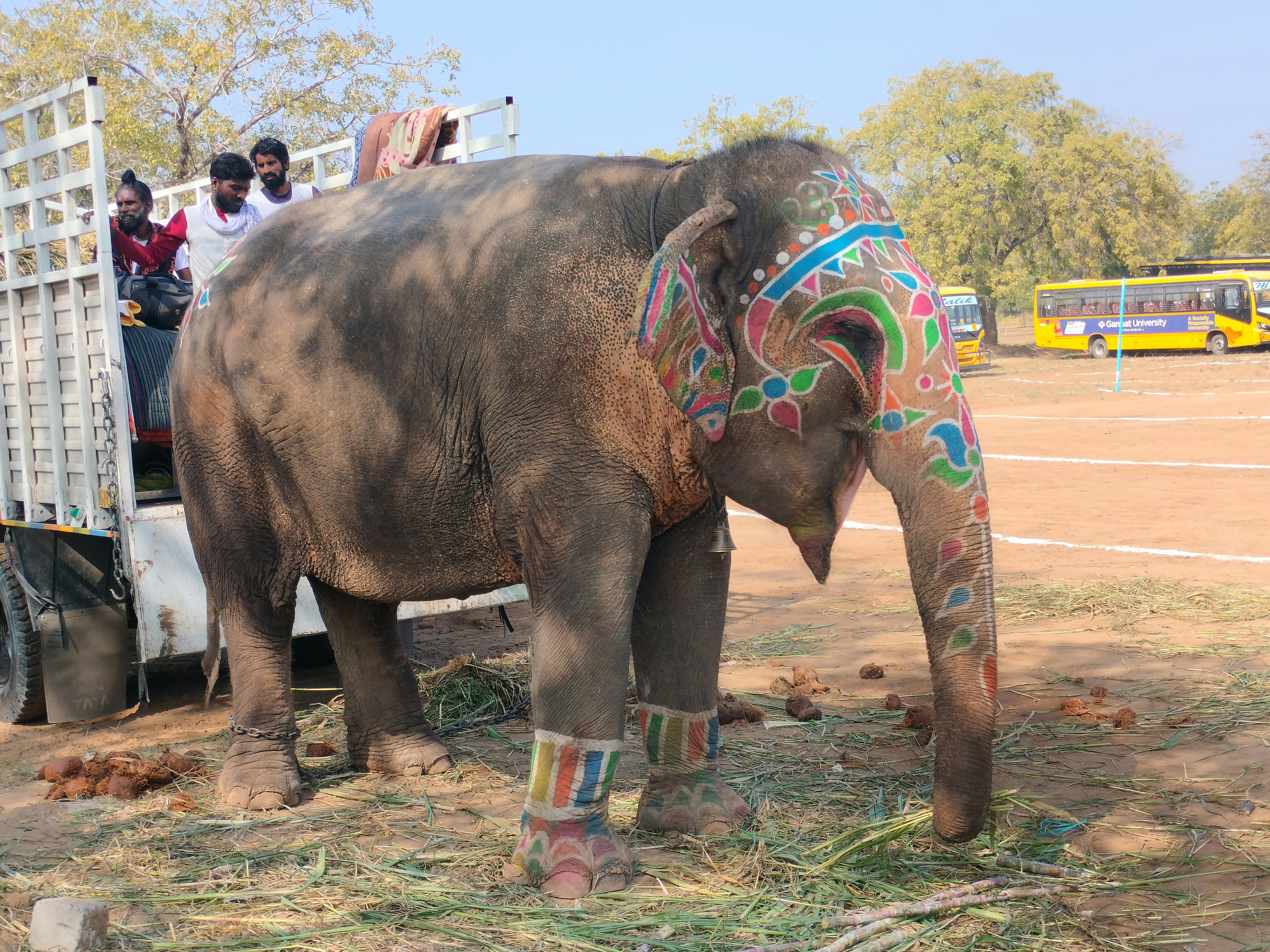 Brightly painted elephant stands beside a trailer with onlookers, its colorful patterns catching the daylight.