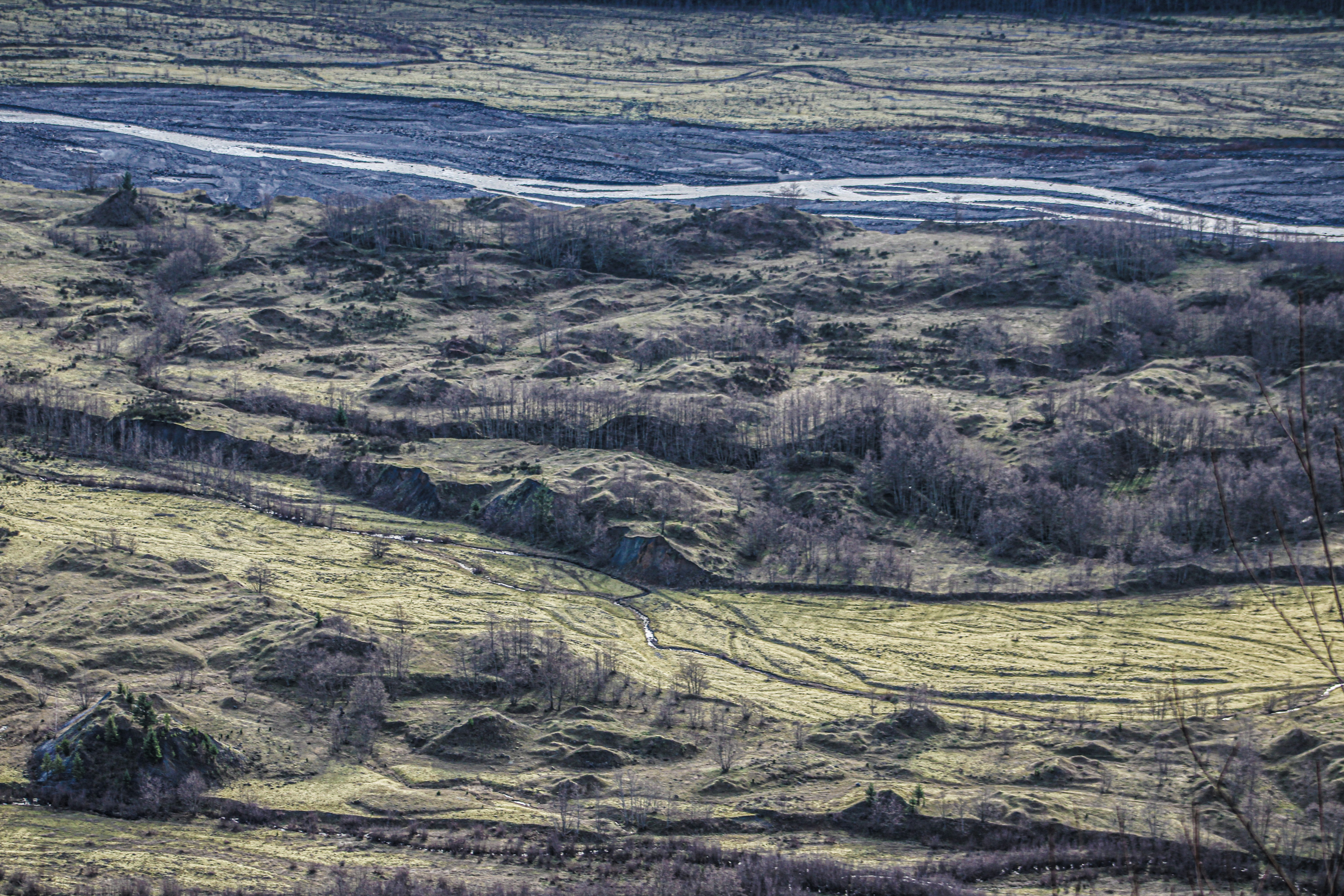 Pastures of Gravel and Grass: A Winding Path Through Tussocked Hills
