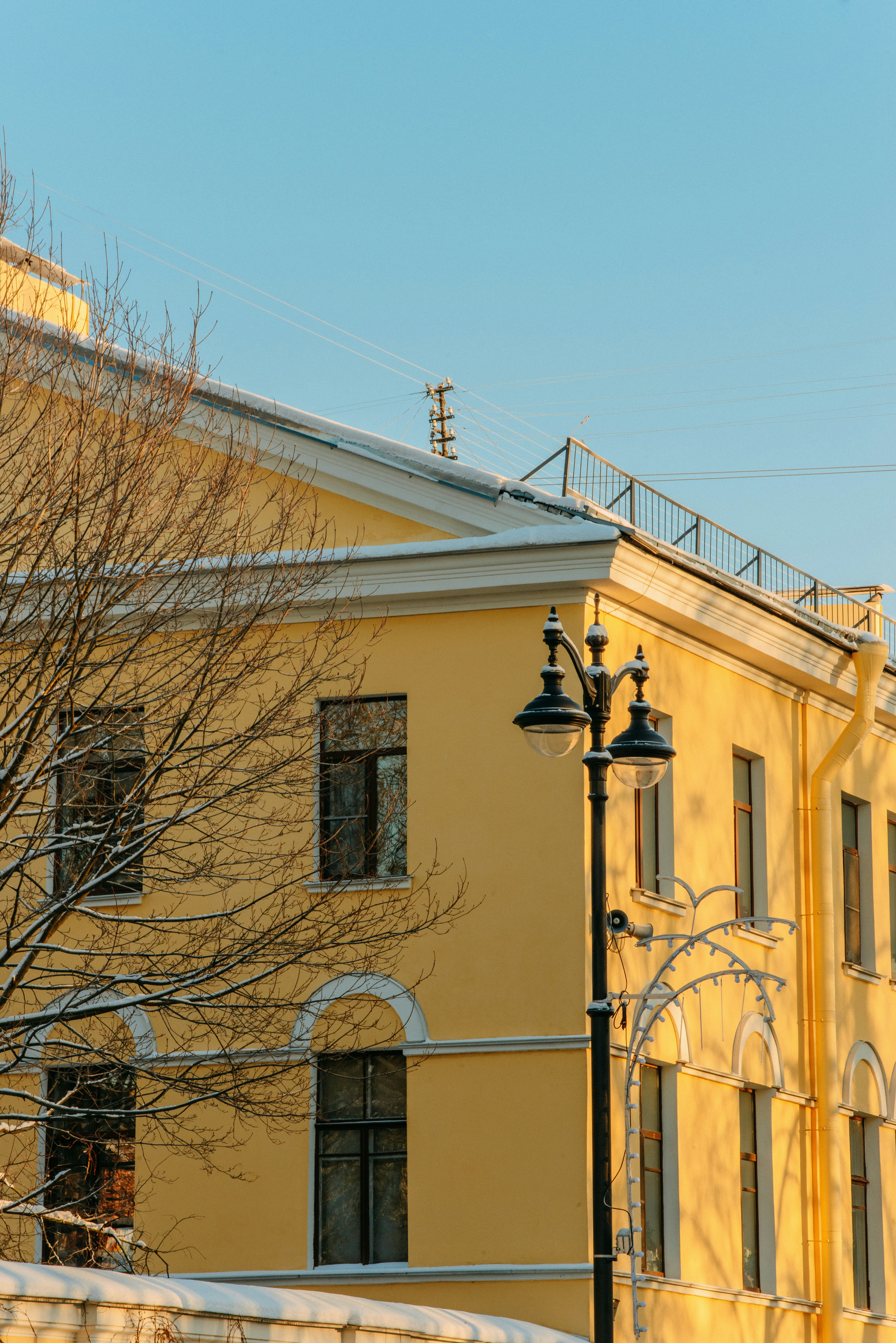 Bright yellow building corner adorned with intricate architectural details, illuminated by soft sunlight, alongside a snow-dusted tree and vintage street lamp.
