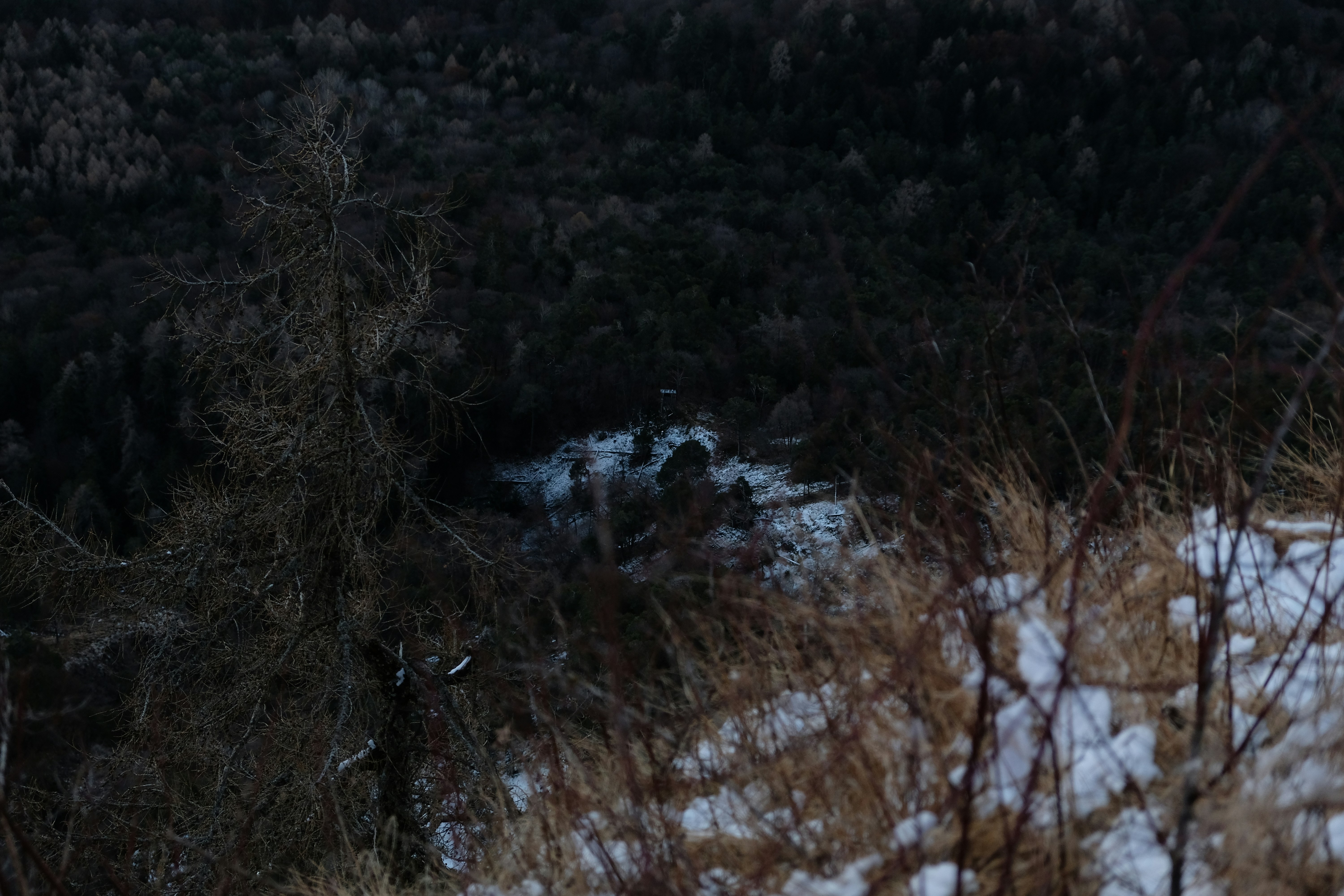 Whispers of Winter's Embrace