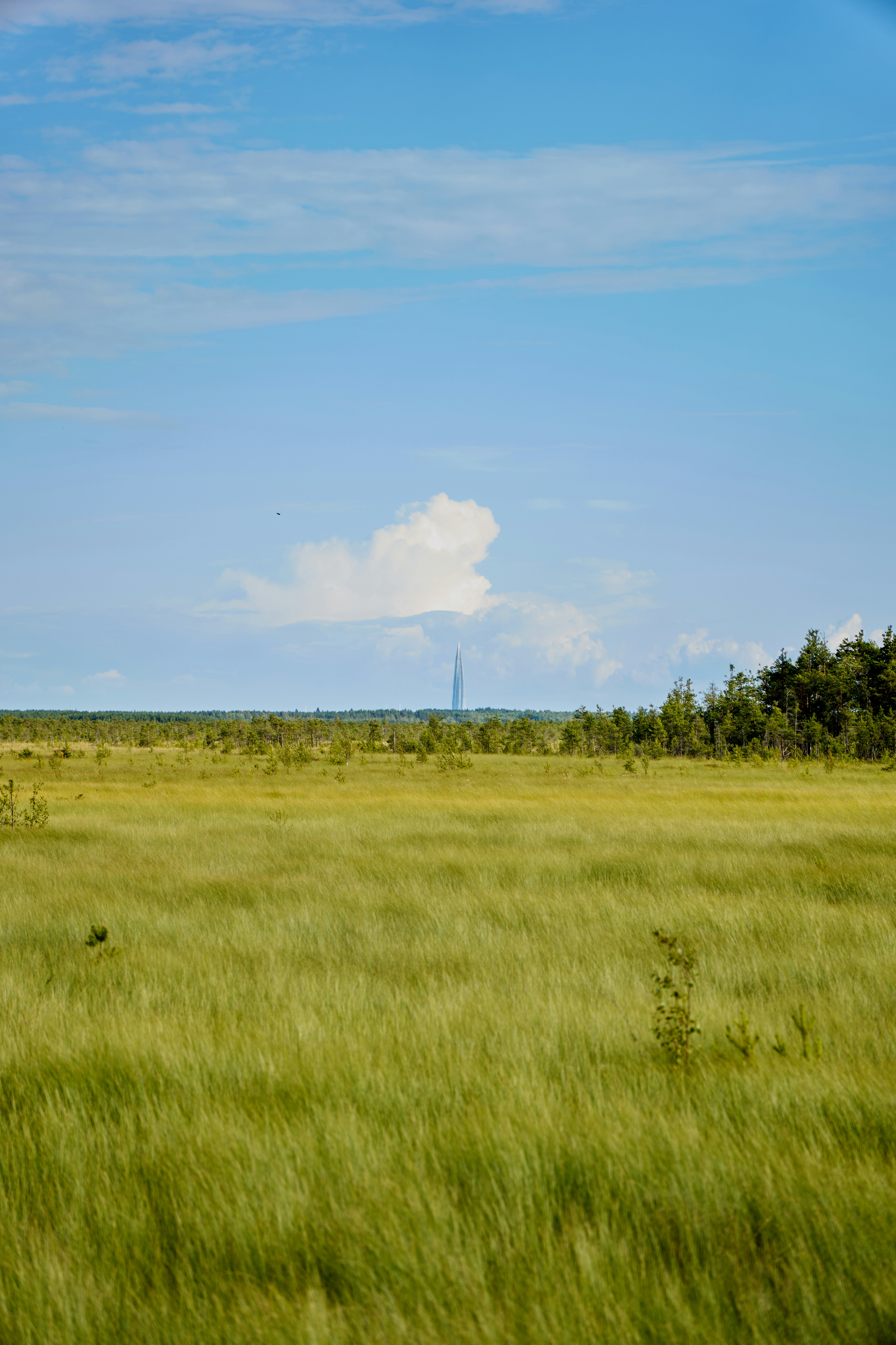 Horizon Needle: A Distant Skyline Emerges Over the Prairie