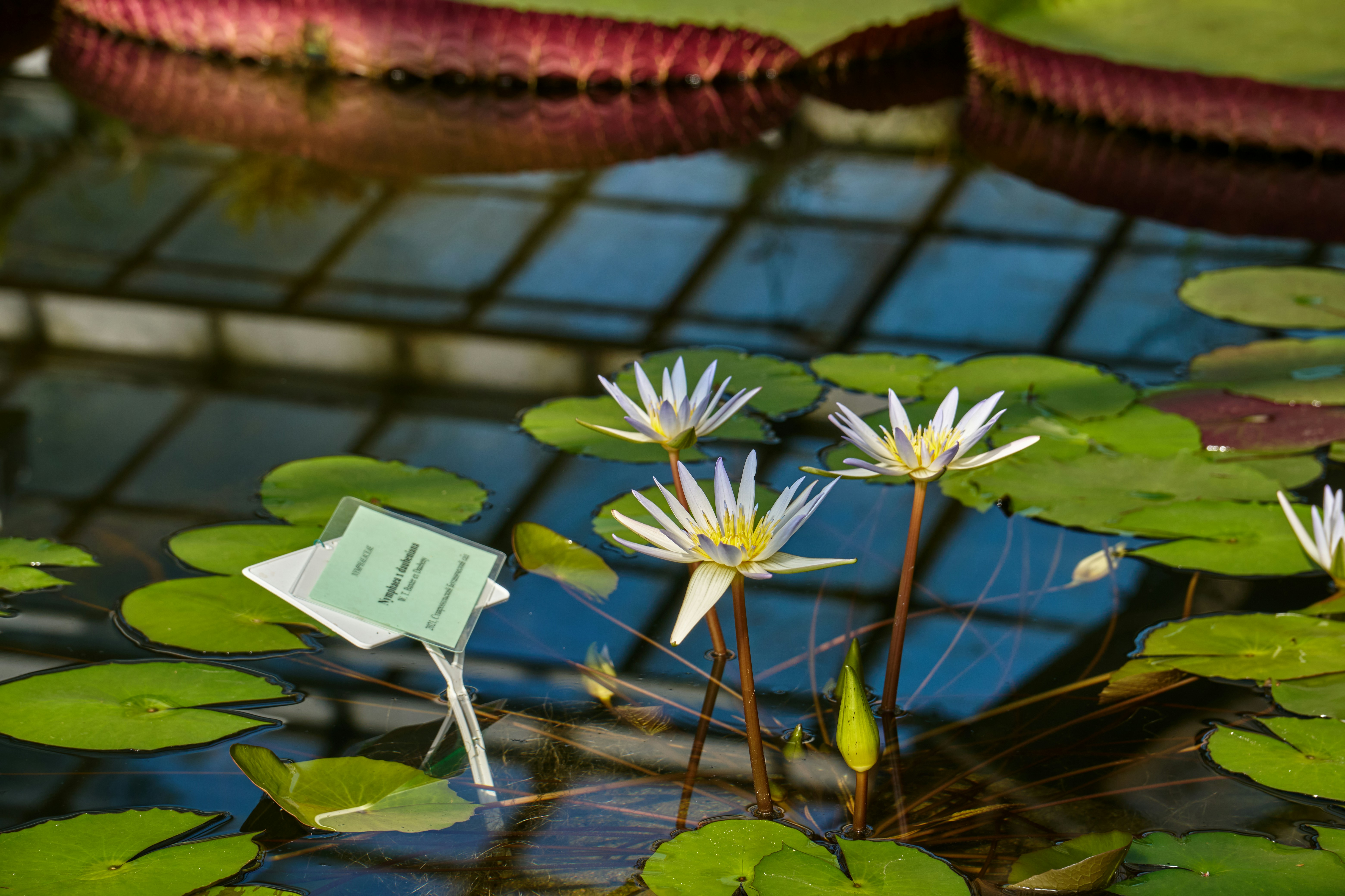 Photo by Andrey Nuraliev with Sony Alpha 7R V