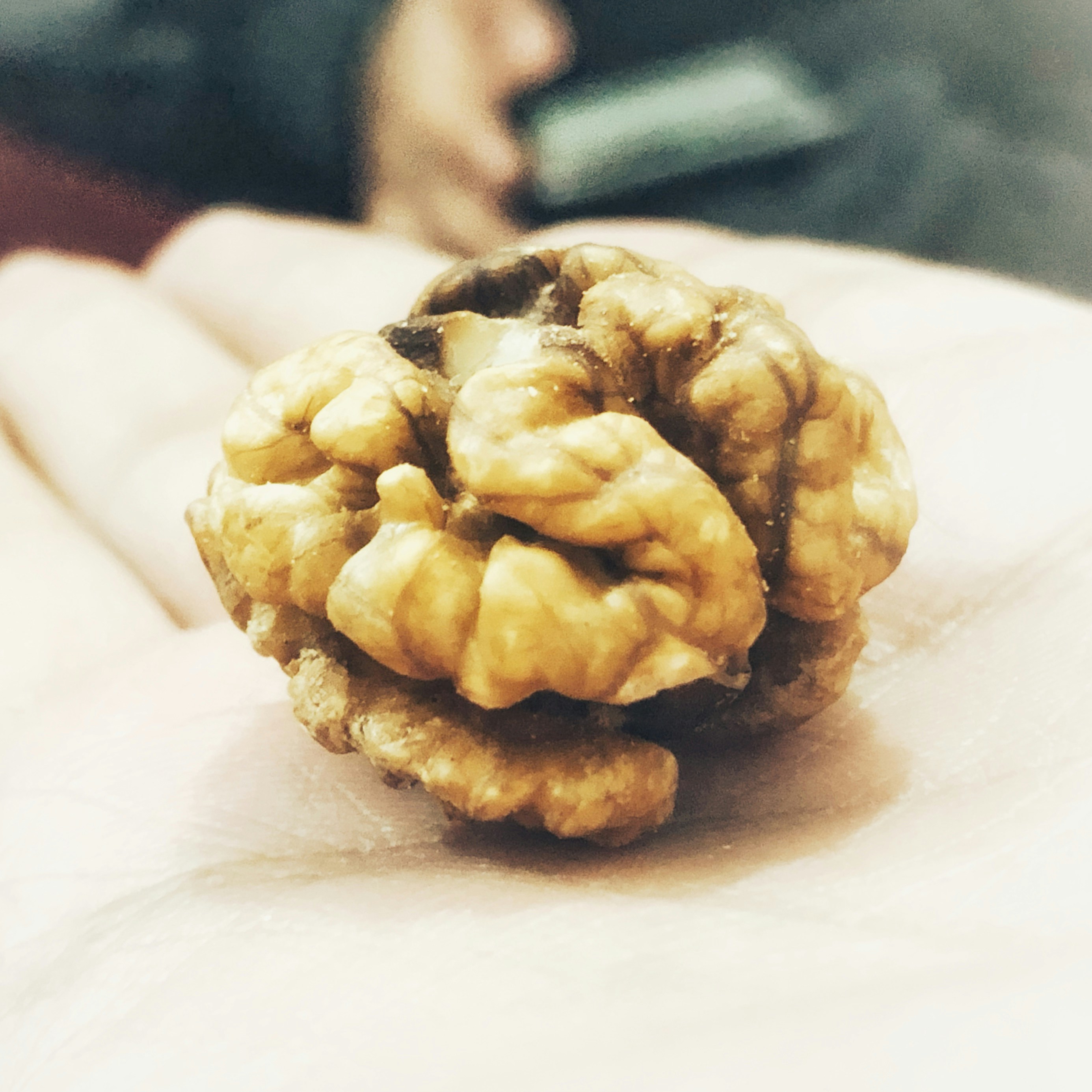 Walnut on a Whispering Palm: Macro Texture in Soft Light