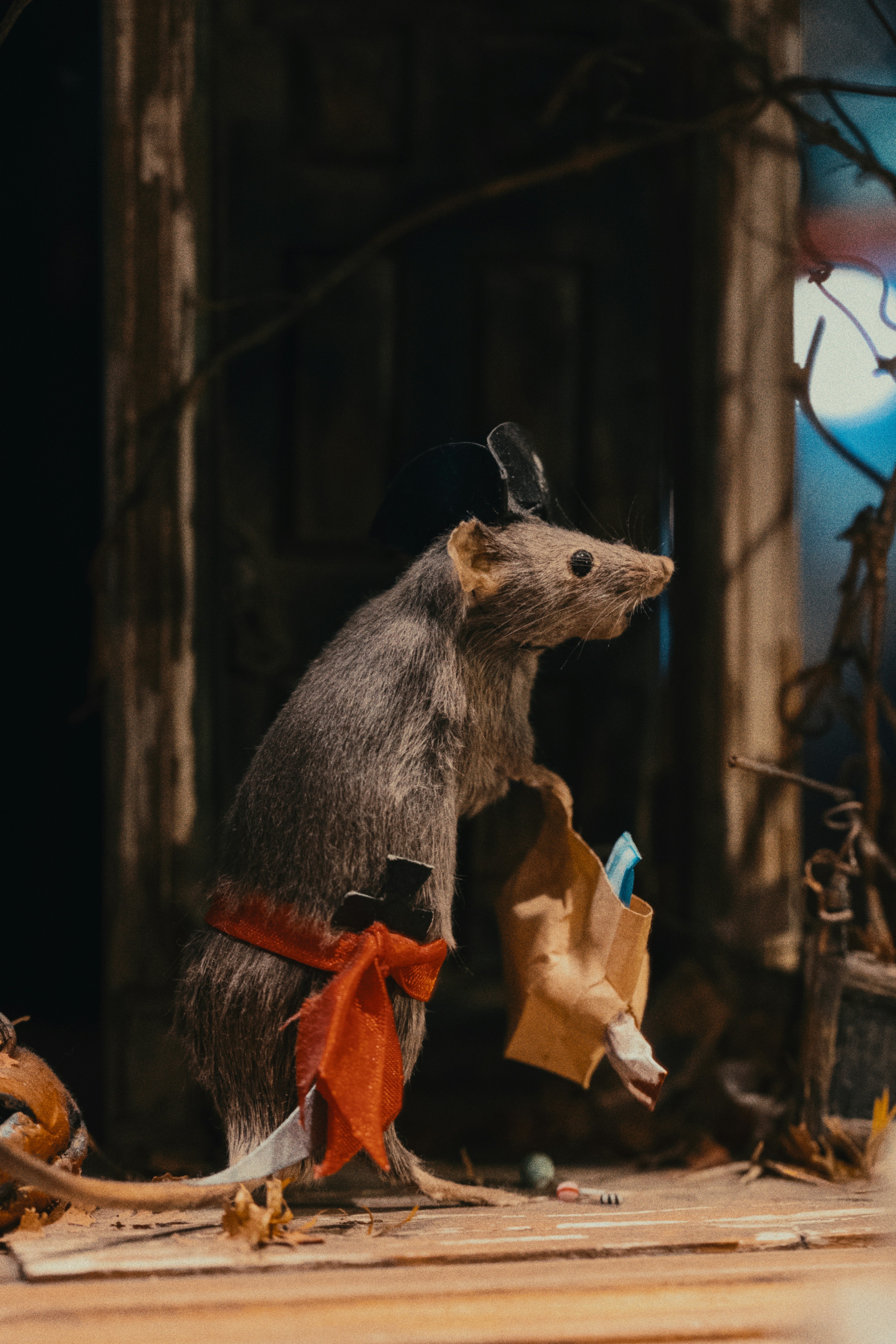 Photo by Jason Leung with Canon EOS R6