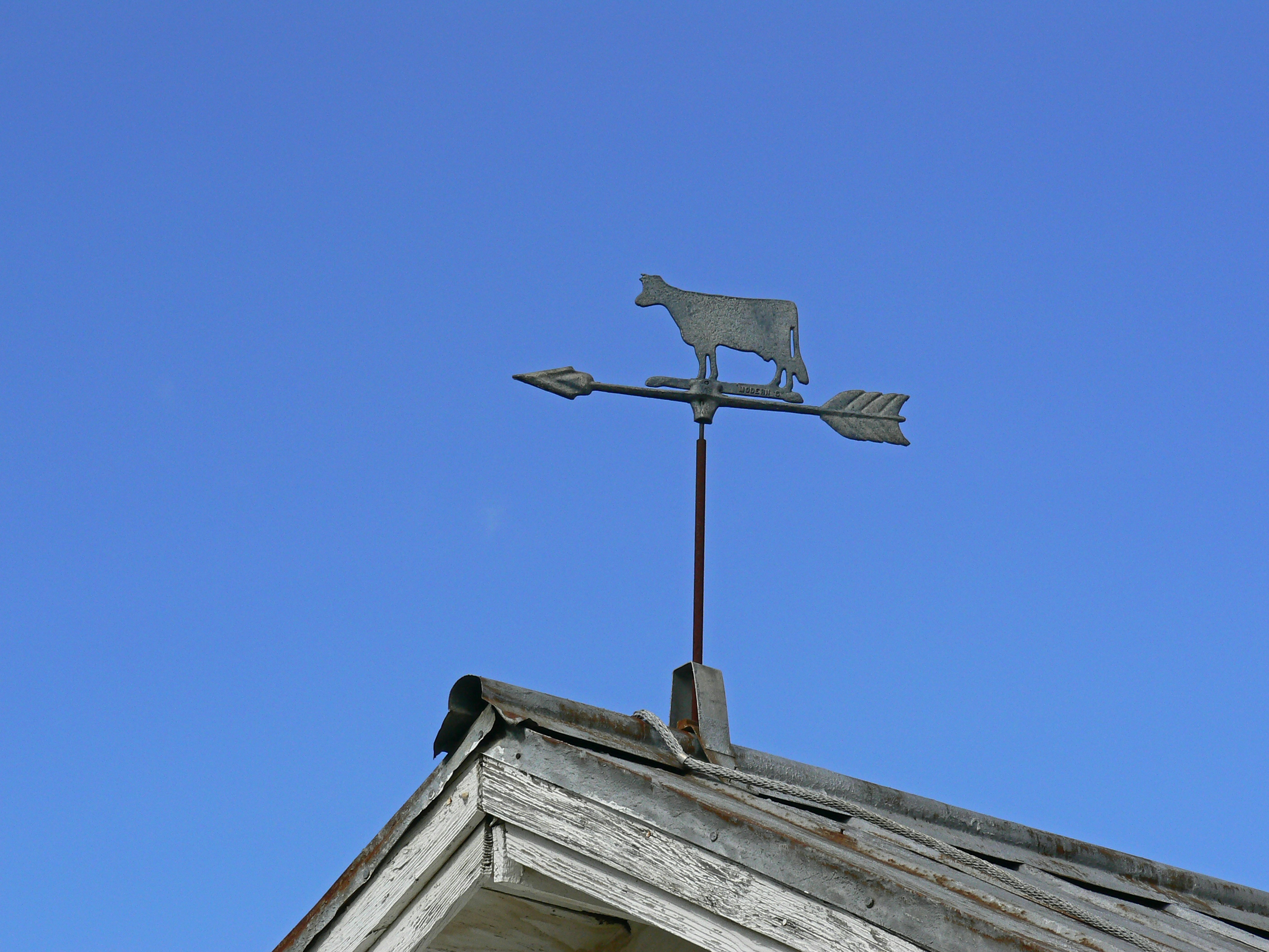 Cow wind vane on a rural farm building. This was a small dairy farm in Virginia.