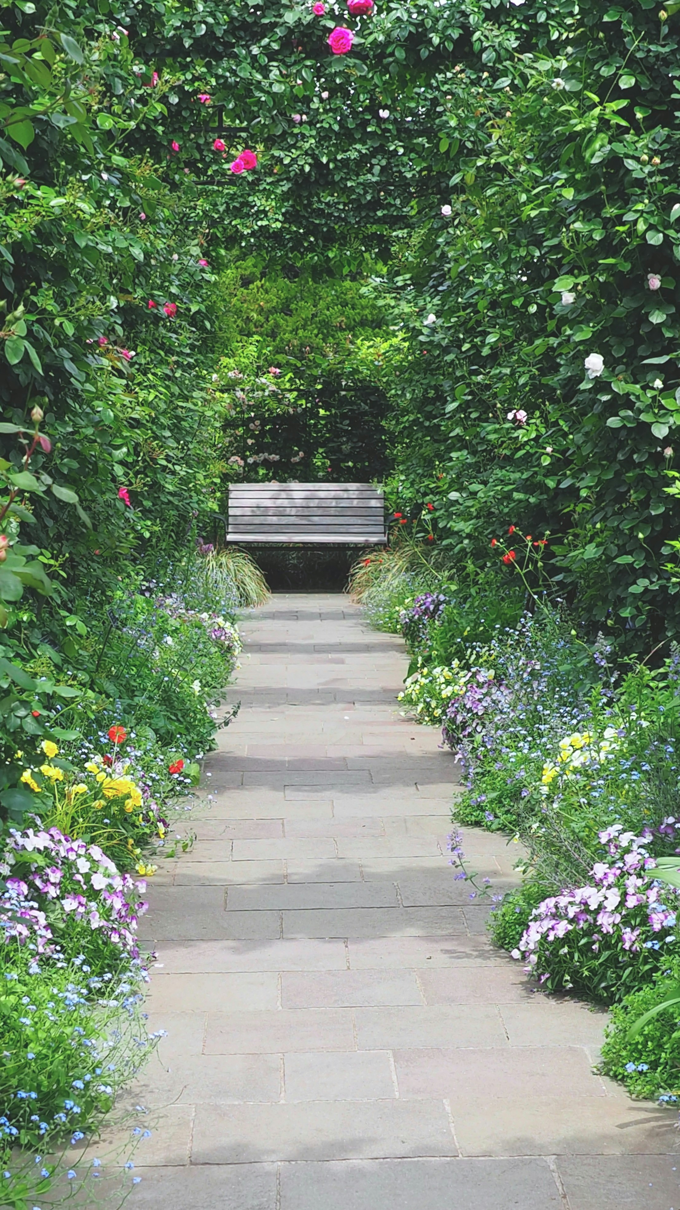 A park bench surrounded by flowers and greenery photo – Free Garden ...