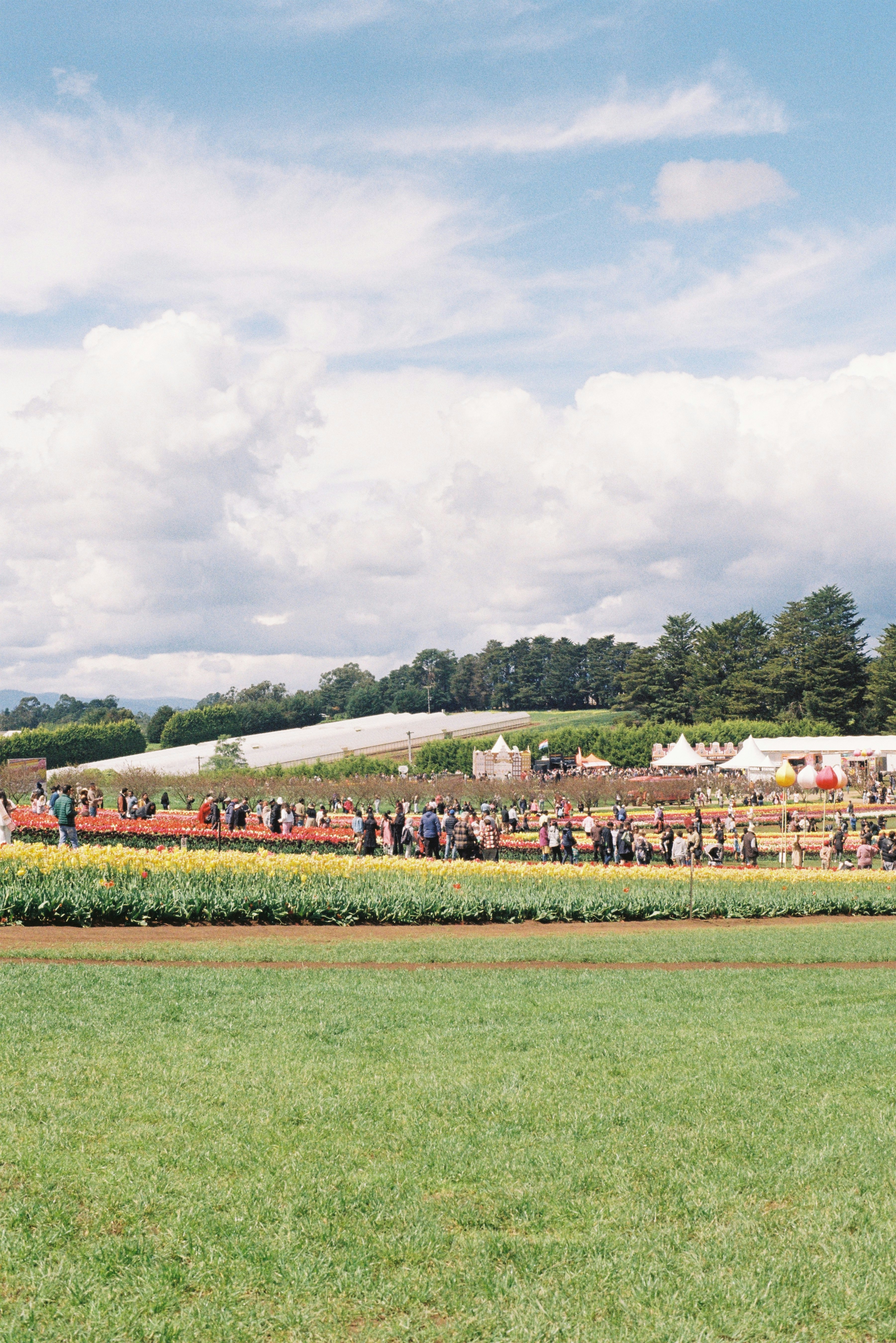 Tents, Flower Rows, and a Crowd at a Sunlit Park Festival