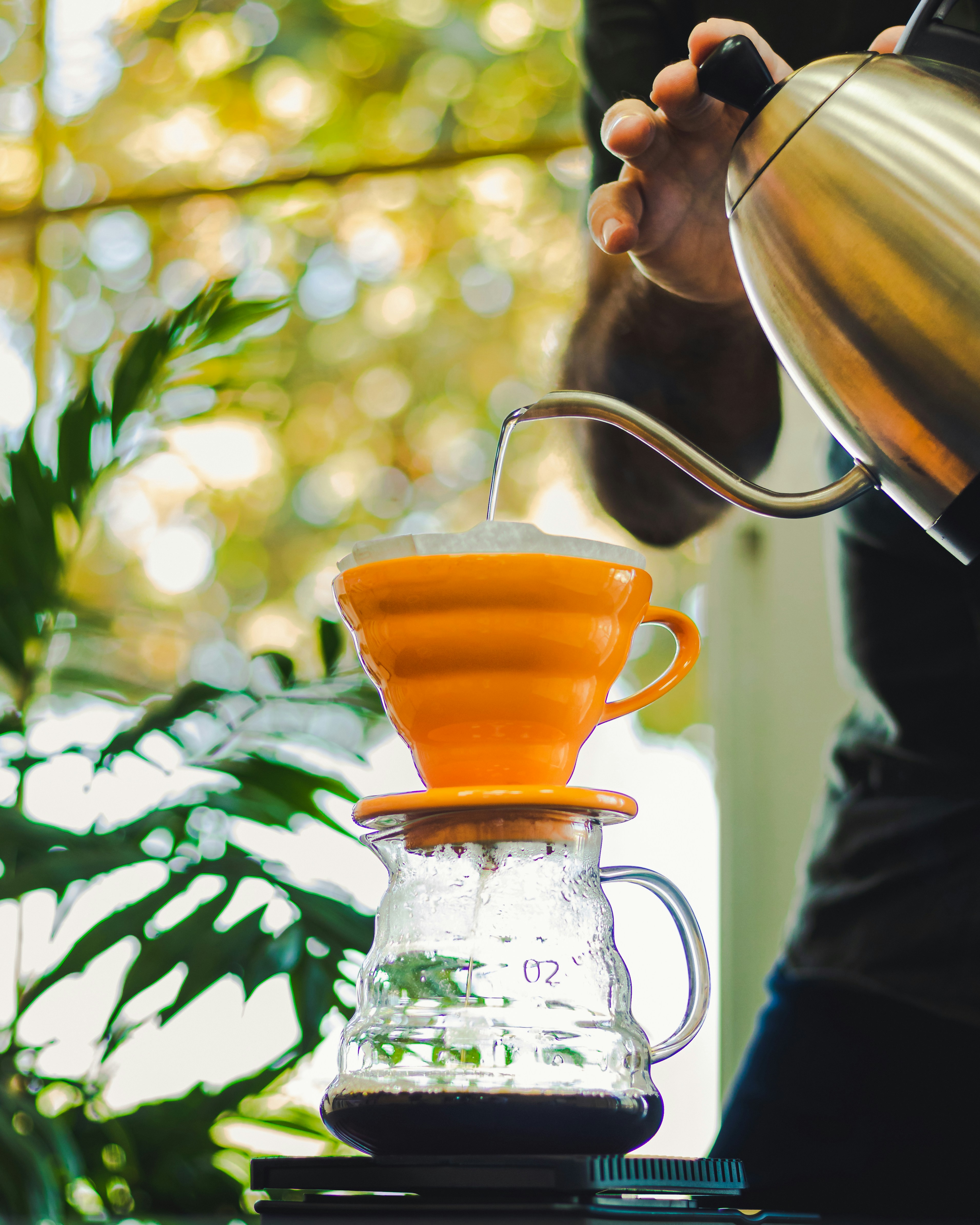 A person pours orange juice into a glass pitcher photo – Free V60 ...